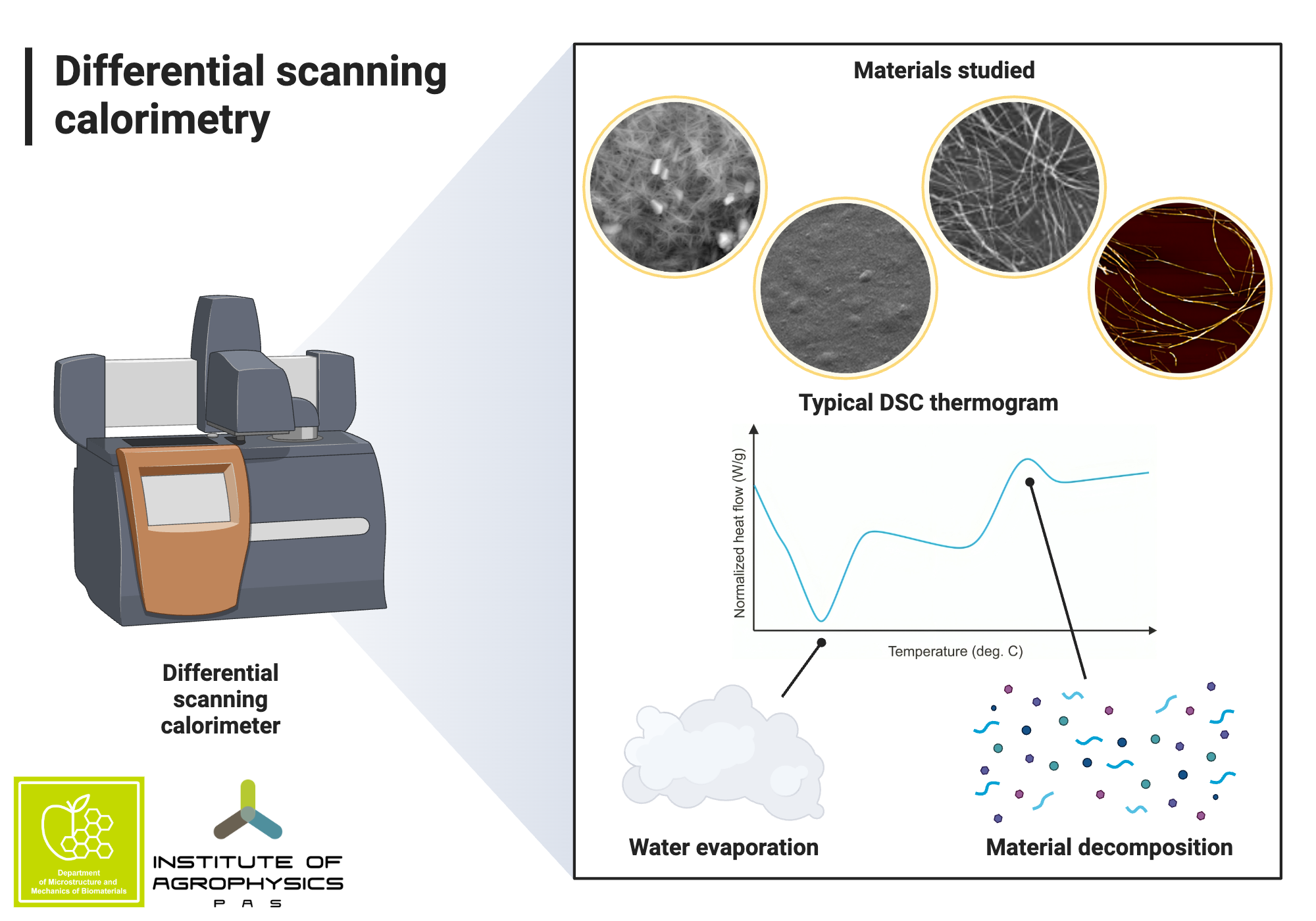 Differential scanning calorimetry - on the forefront of the symphony of ...