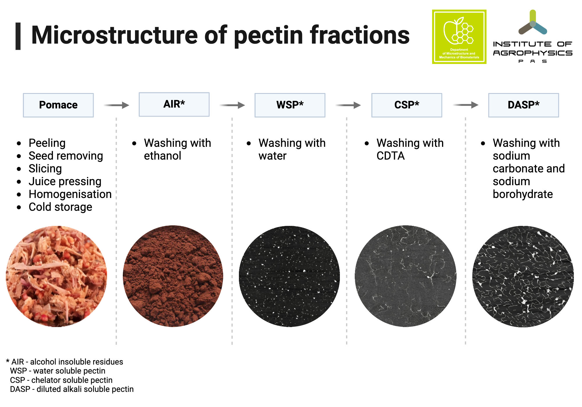 Microstructure of pectin fractions | BioRender Science Templates
