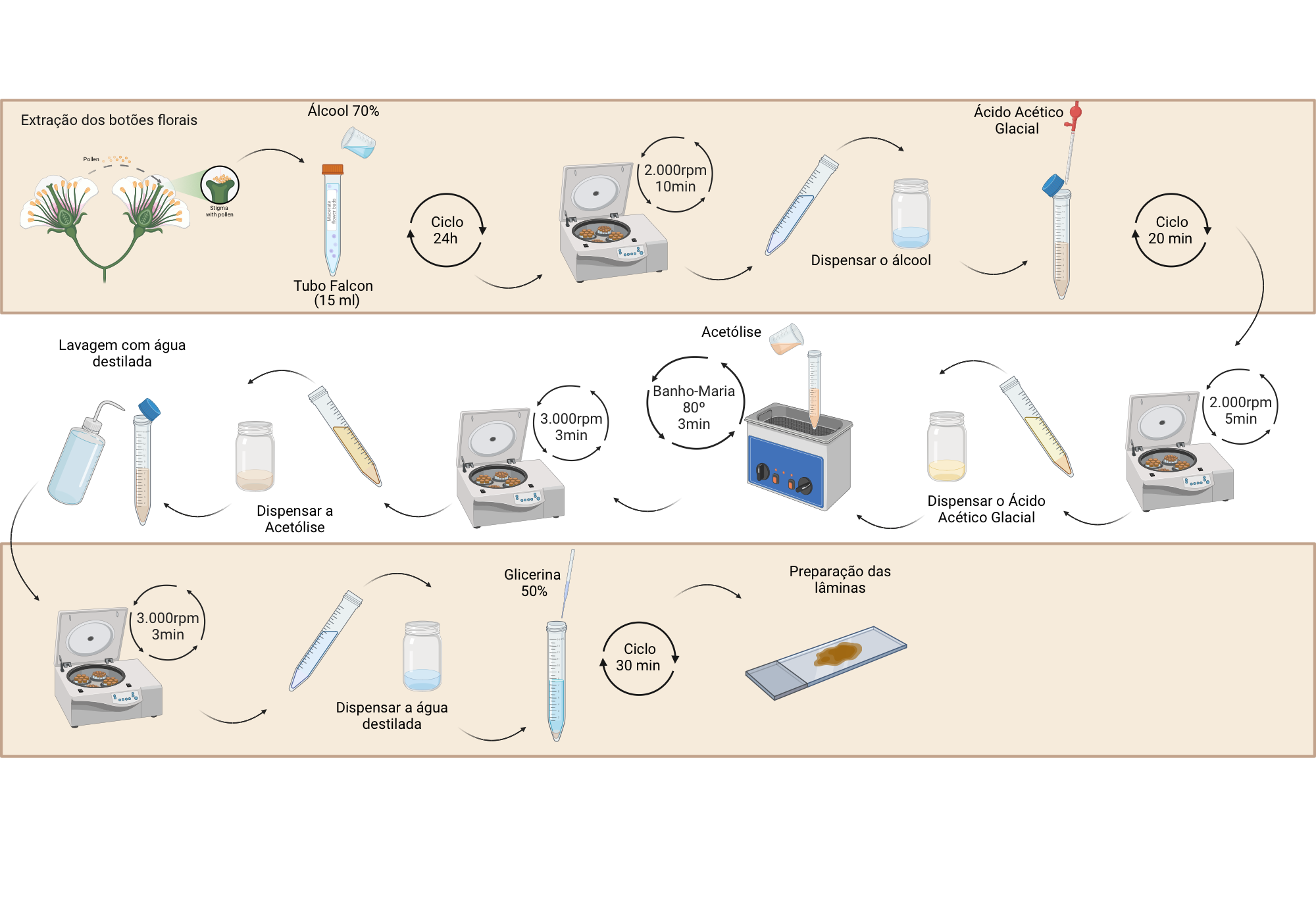 Summary of the different stages of palynological treatment | BioRender ...