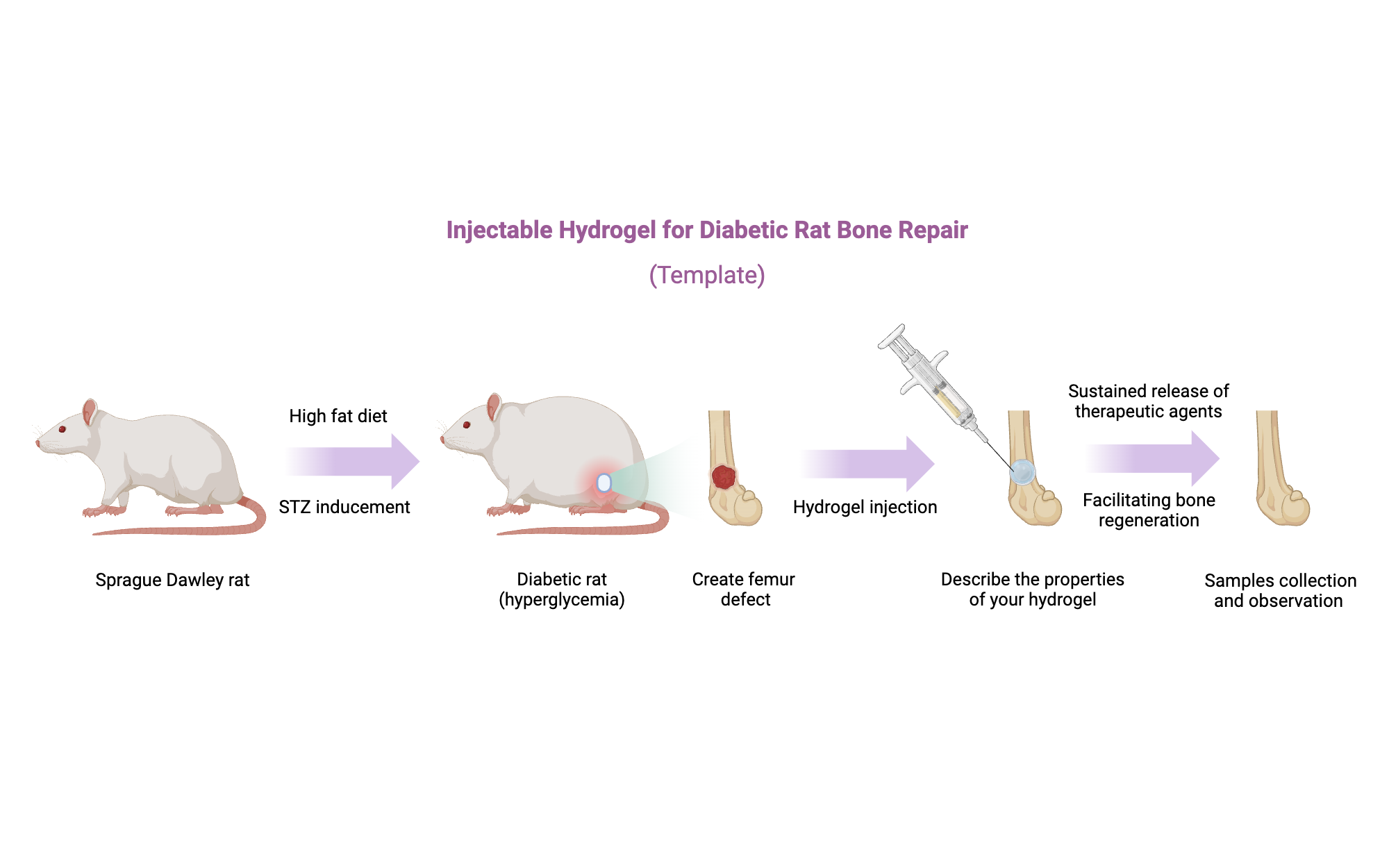 Injectable Hydrogel for Diabetic Rat Bone Repair | BioRender Science ...