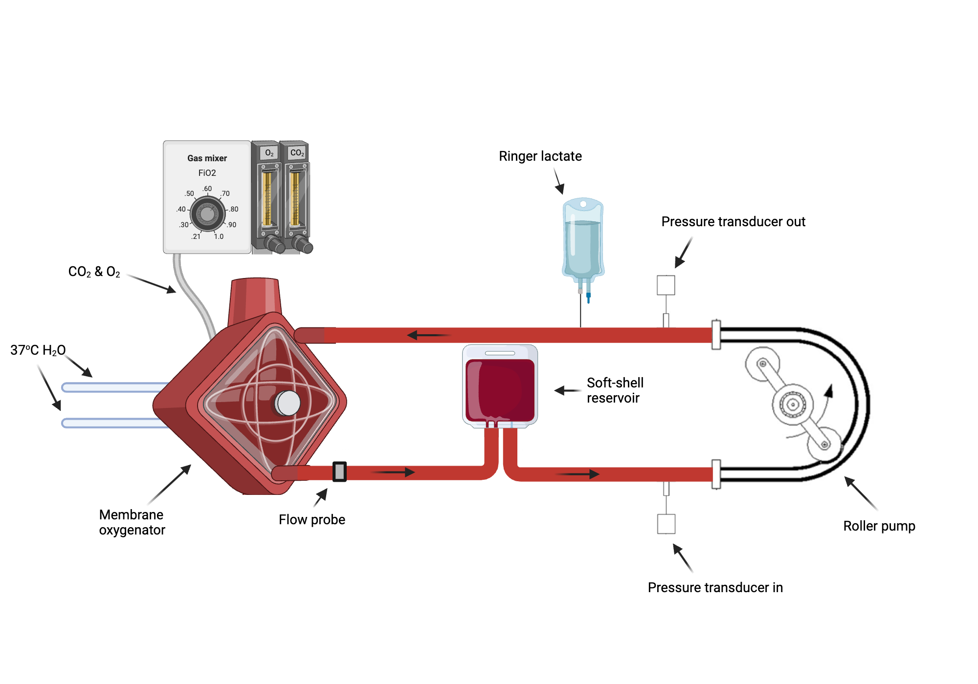 Miniature CPB setup | BioRender Science Templates