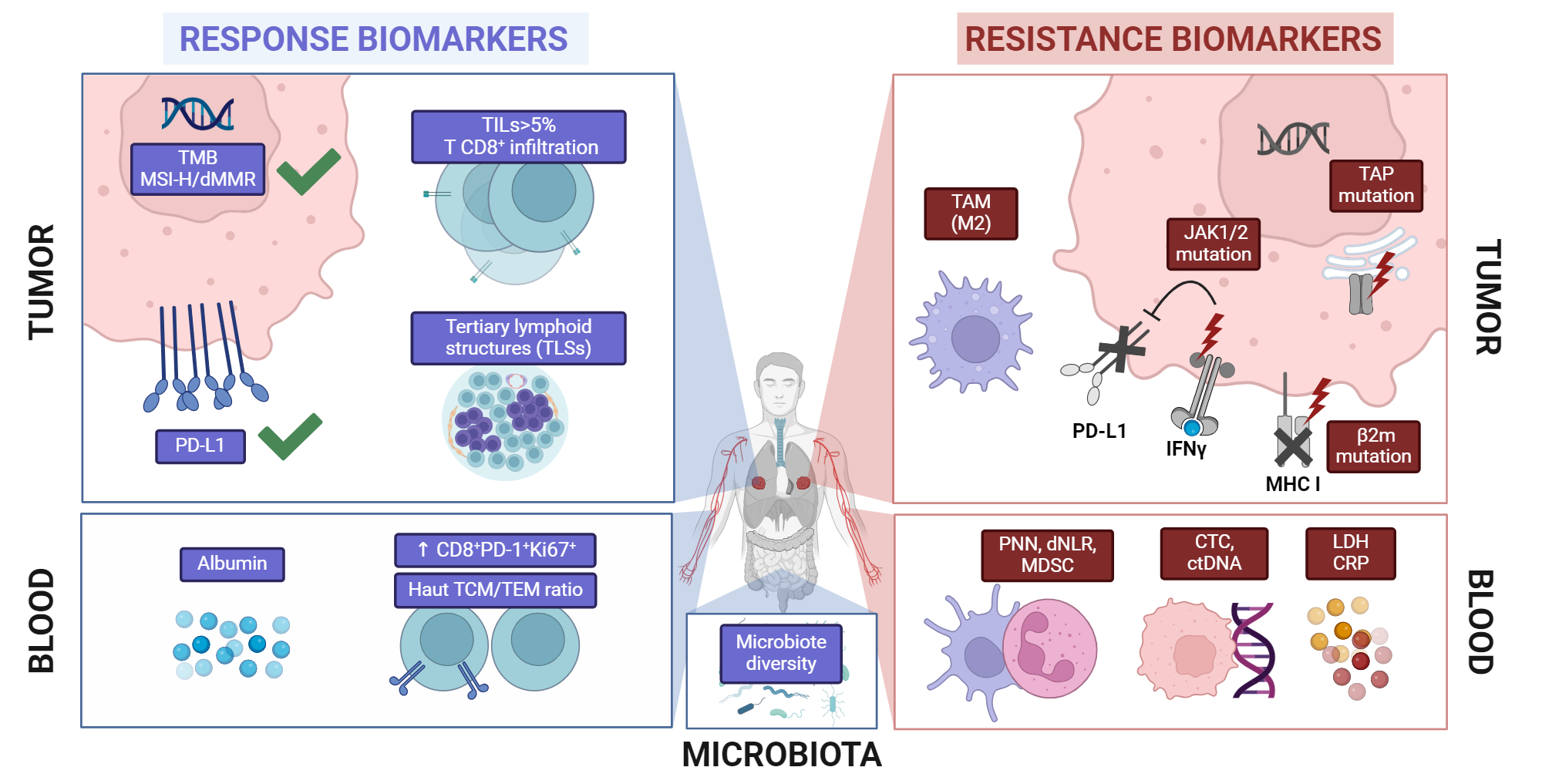 Biomarkers of response and resistance to immune checkpoint blockers ...