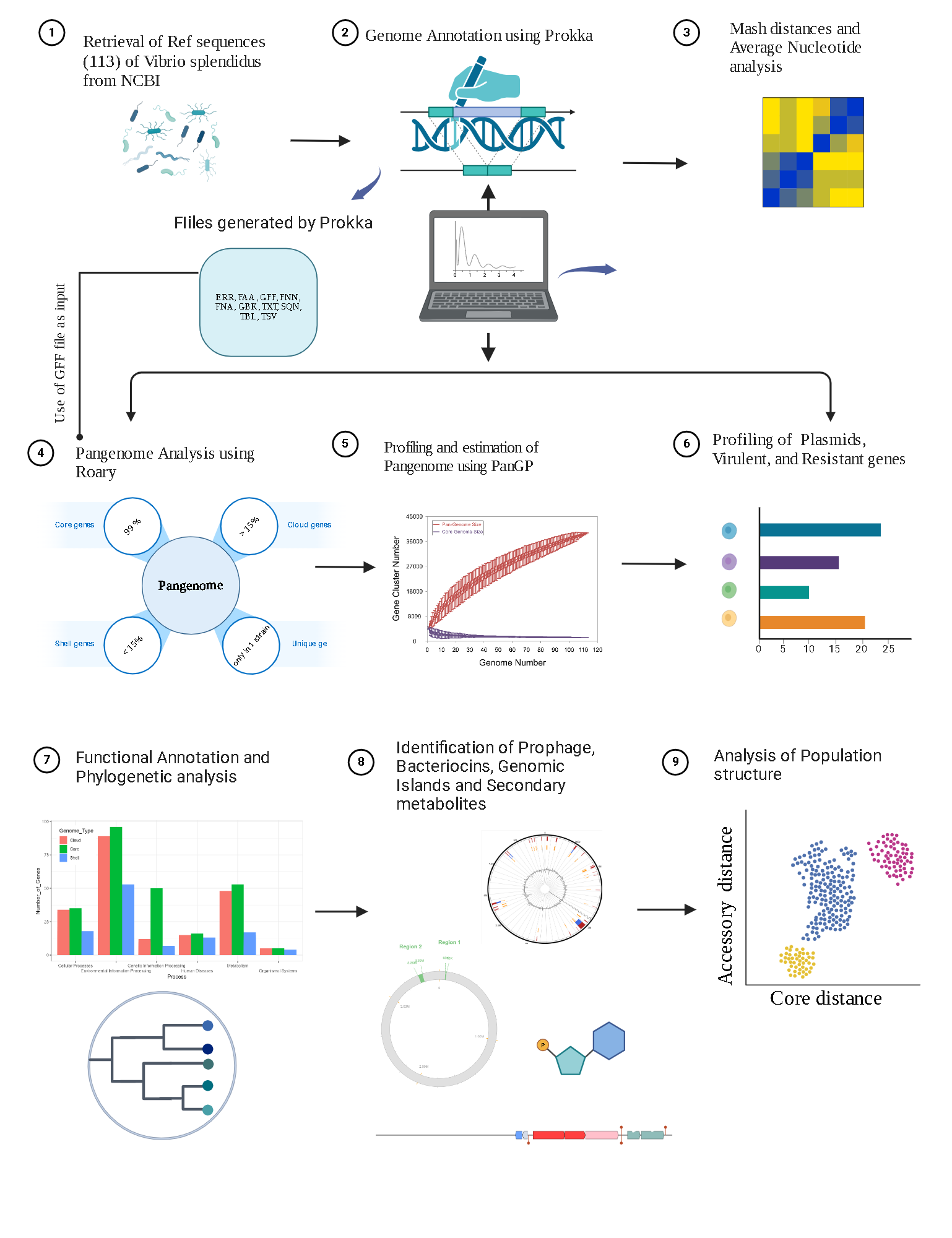 Schematic outline of the methodology involved in the comparative ...