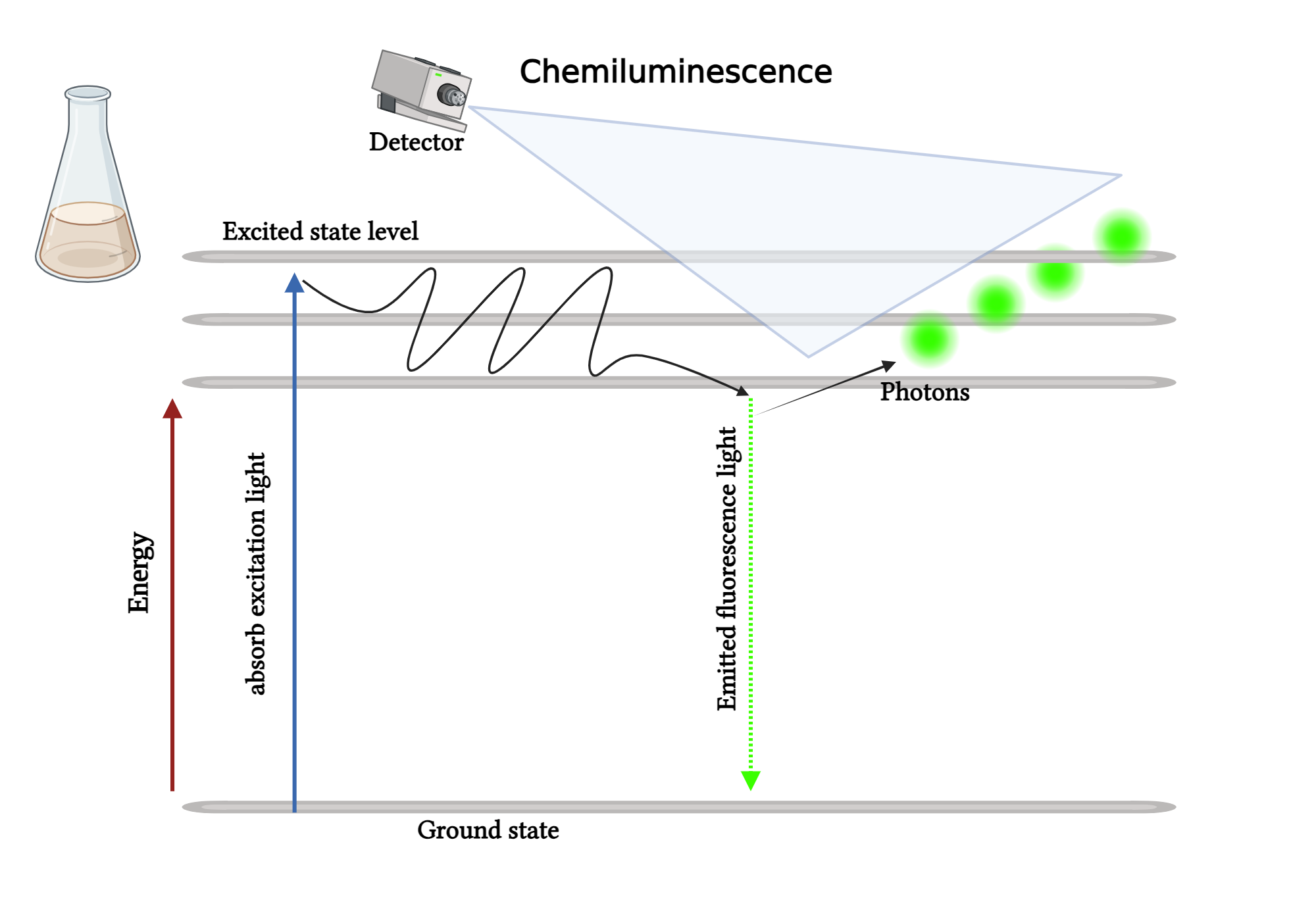 Chemiluminescence | BioRender Science Templates