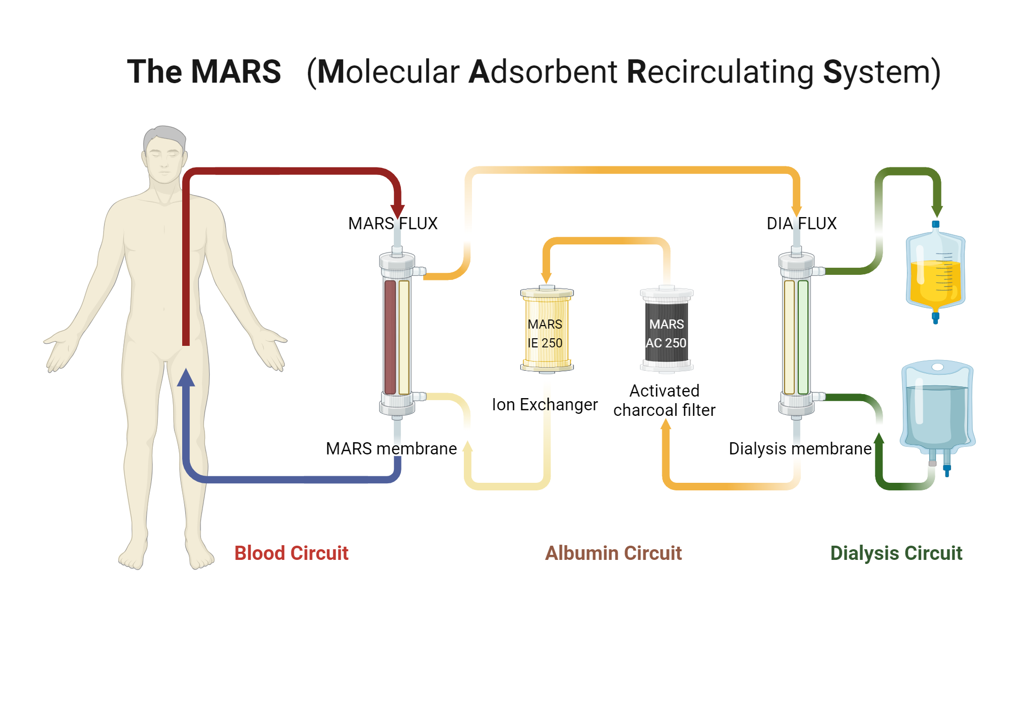 MARS system | BioRender Science Templates