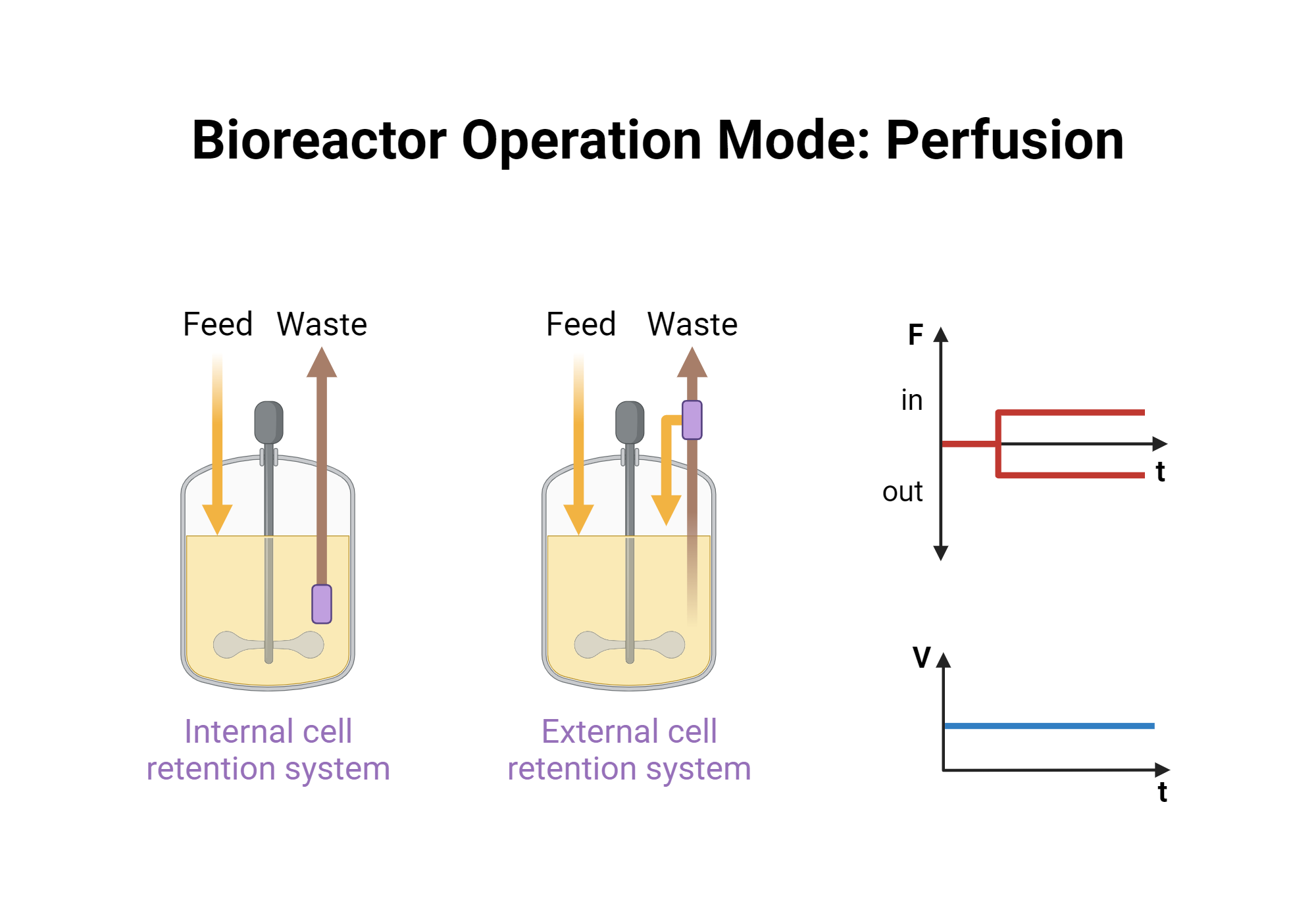 Bioreactor Operation Mode: Perfusion | BioRender Science Templates