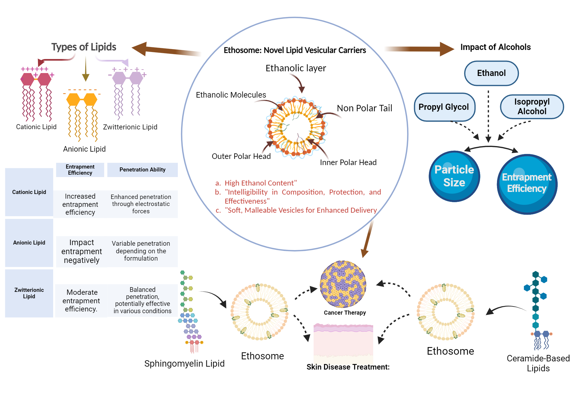 Ethosome: Novel Lipid Vesicular Carriers and Their Applications ...