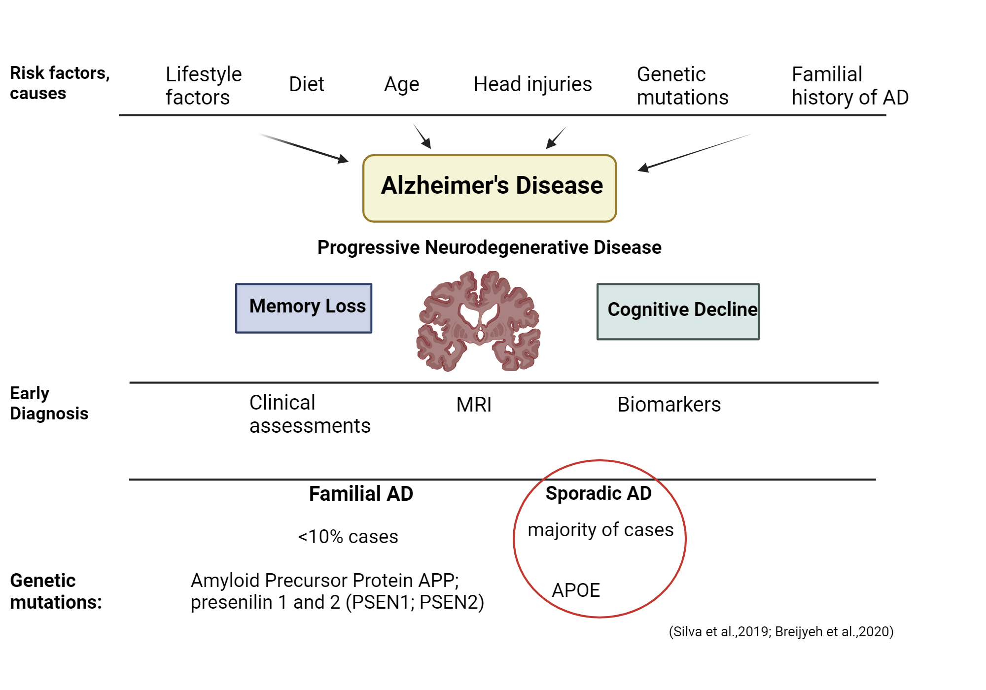 Alzheimer's Disease - general clinical overview | BioRender Science ...