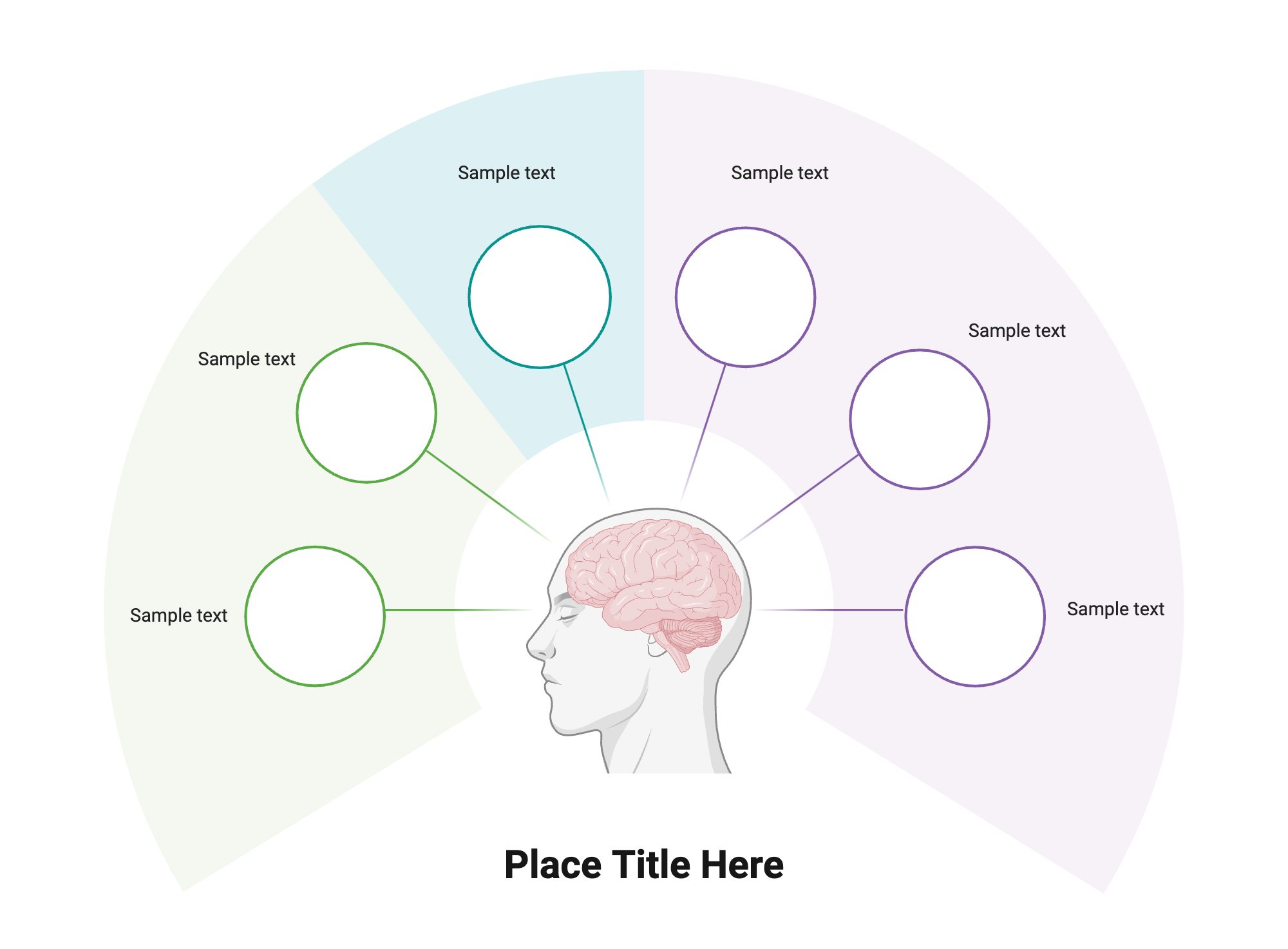Circular Diagram with Brain (Layout) | BioRender Science Templates