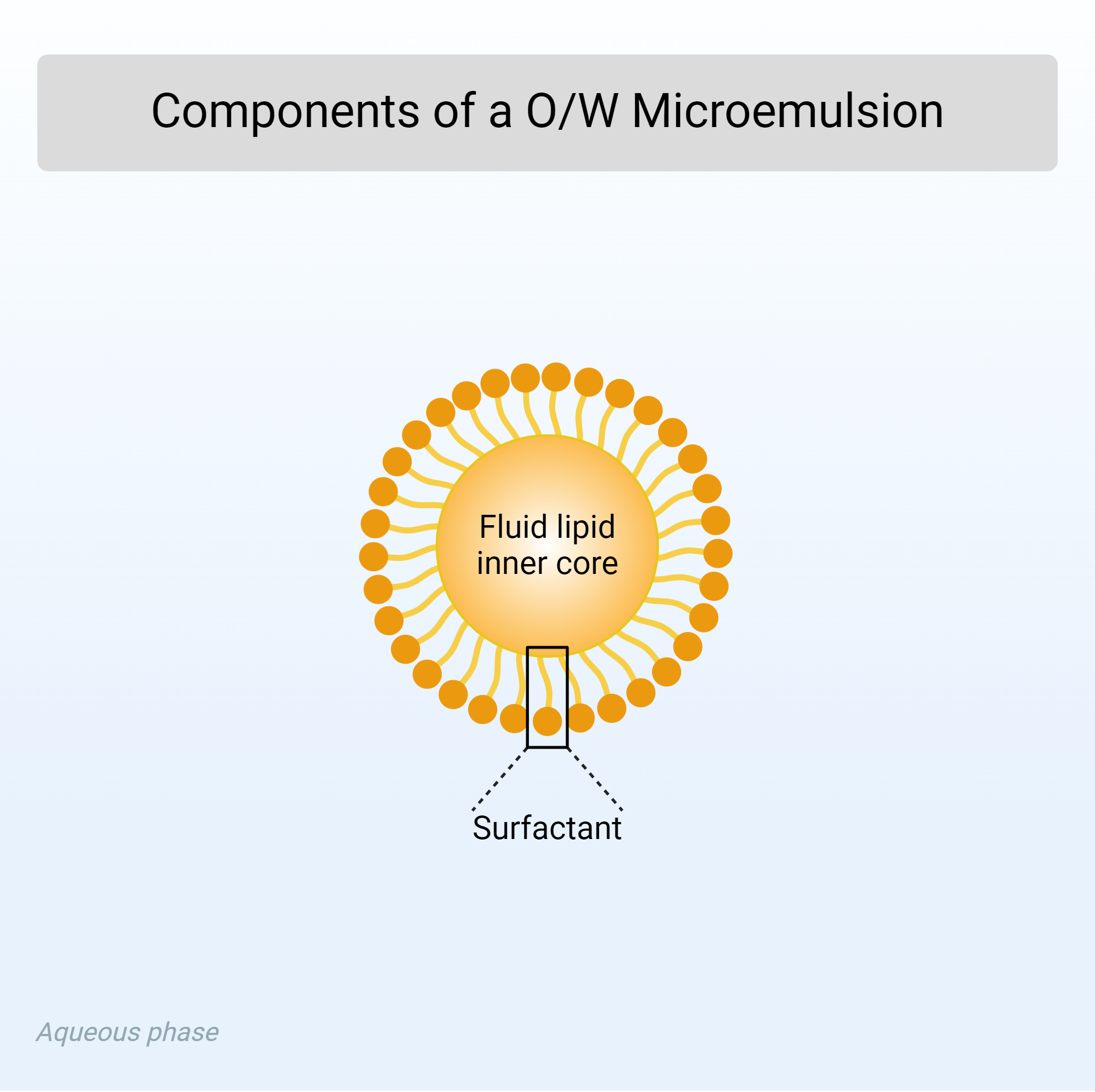 Components of a O/W Microemulsion | BioRender Science Templates