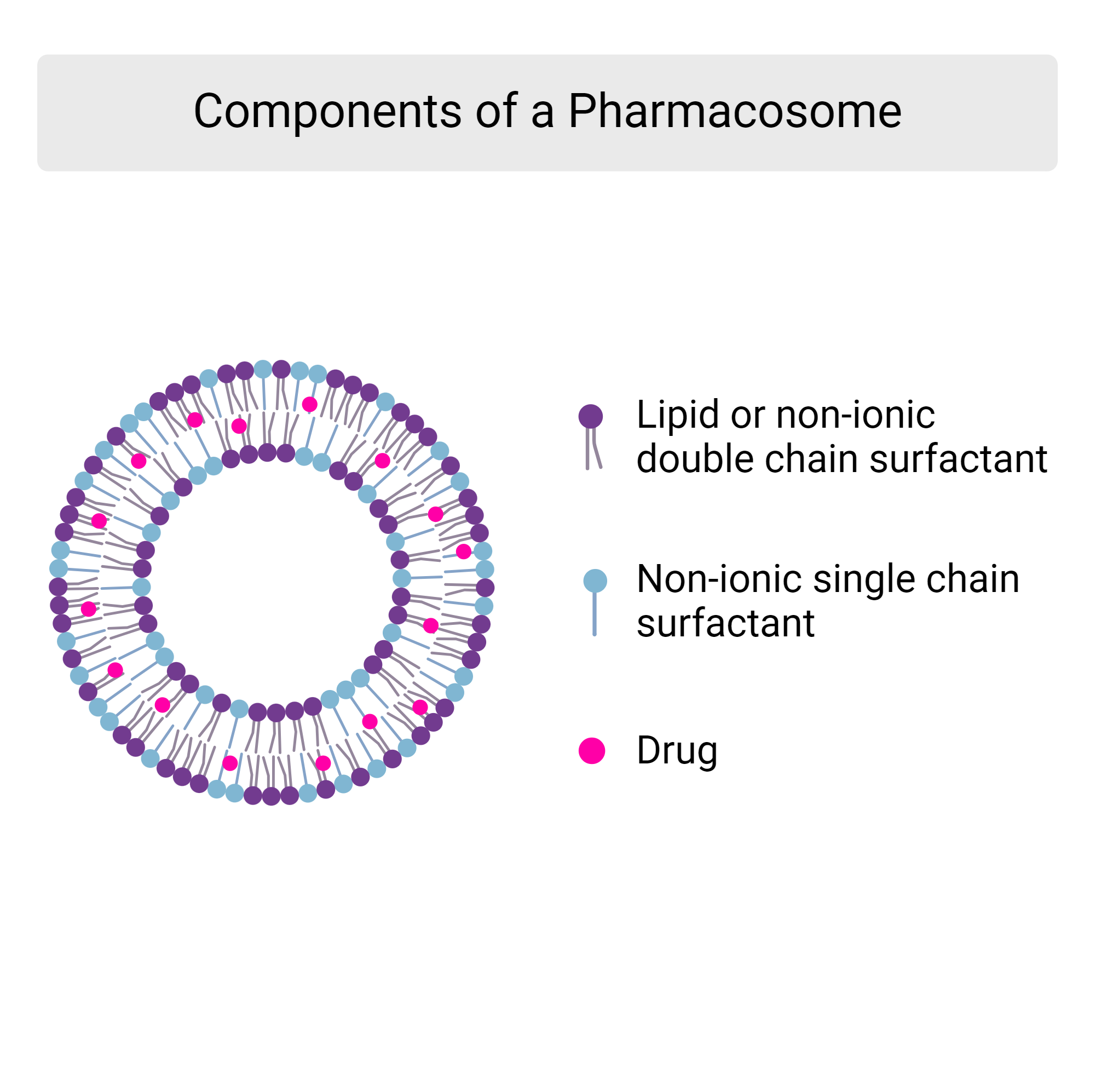 Components of a Pharmacosome | BioRender Science Templates