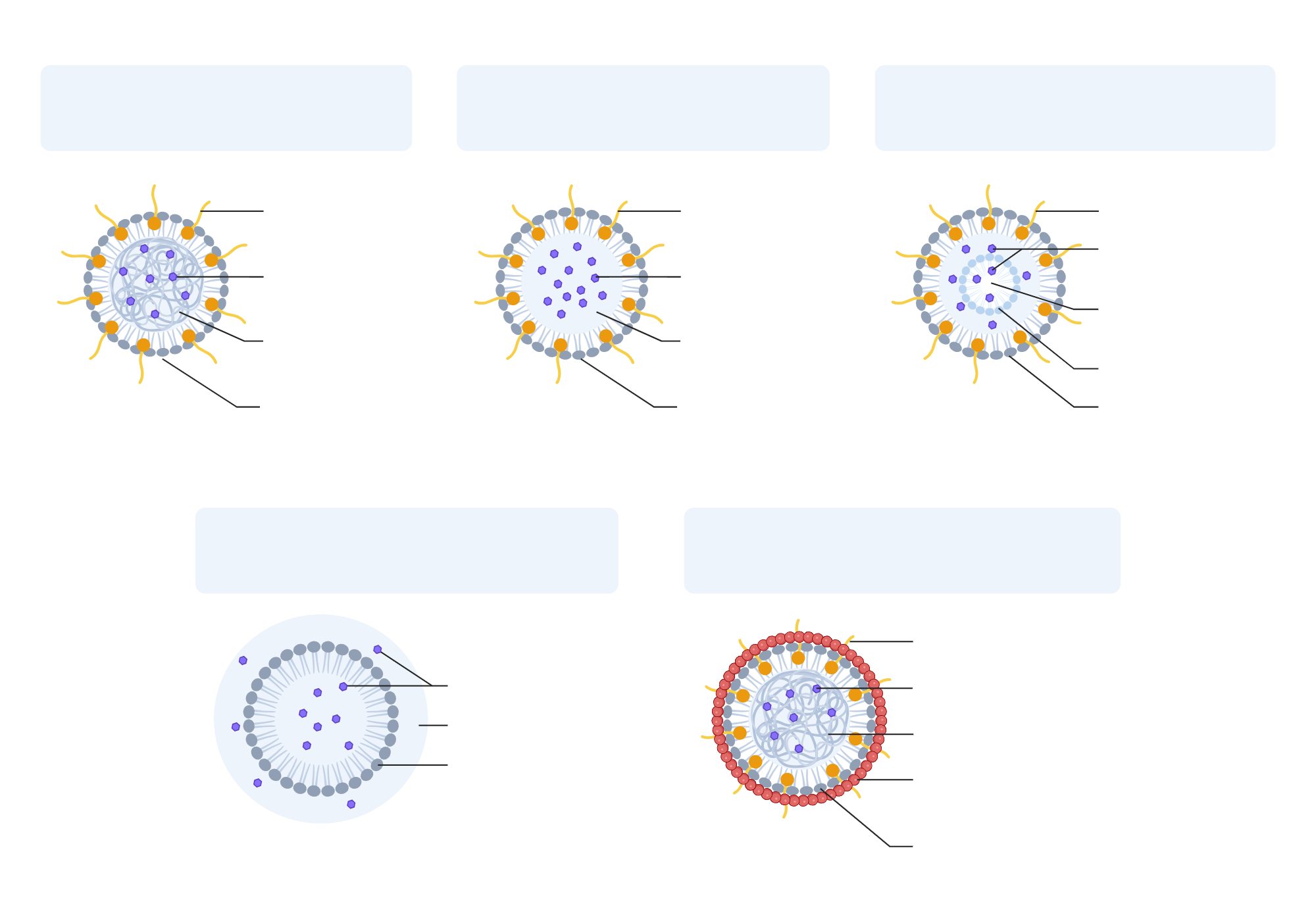 Different Types of Polymer-Lipid Hybrid Nanoparticles | BioRender ...