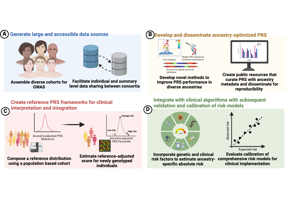 Polygenic Risk Scores for Diverse Ancestries | BioRender Science Templates