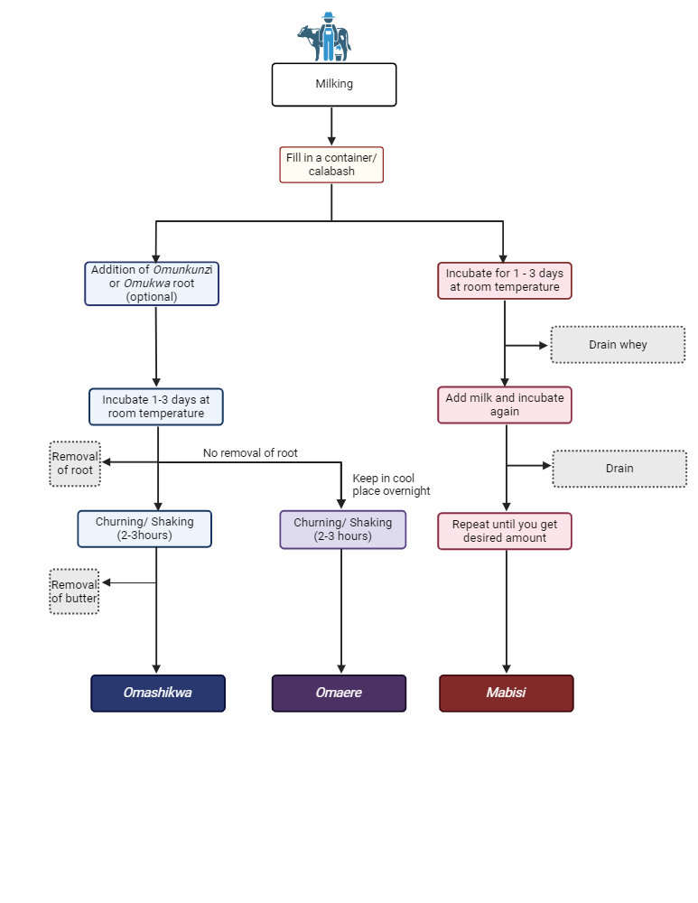 Flow Chart on the Production of Mabisi, Omashikwa and Omaere ...
