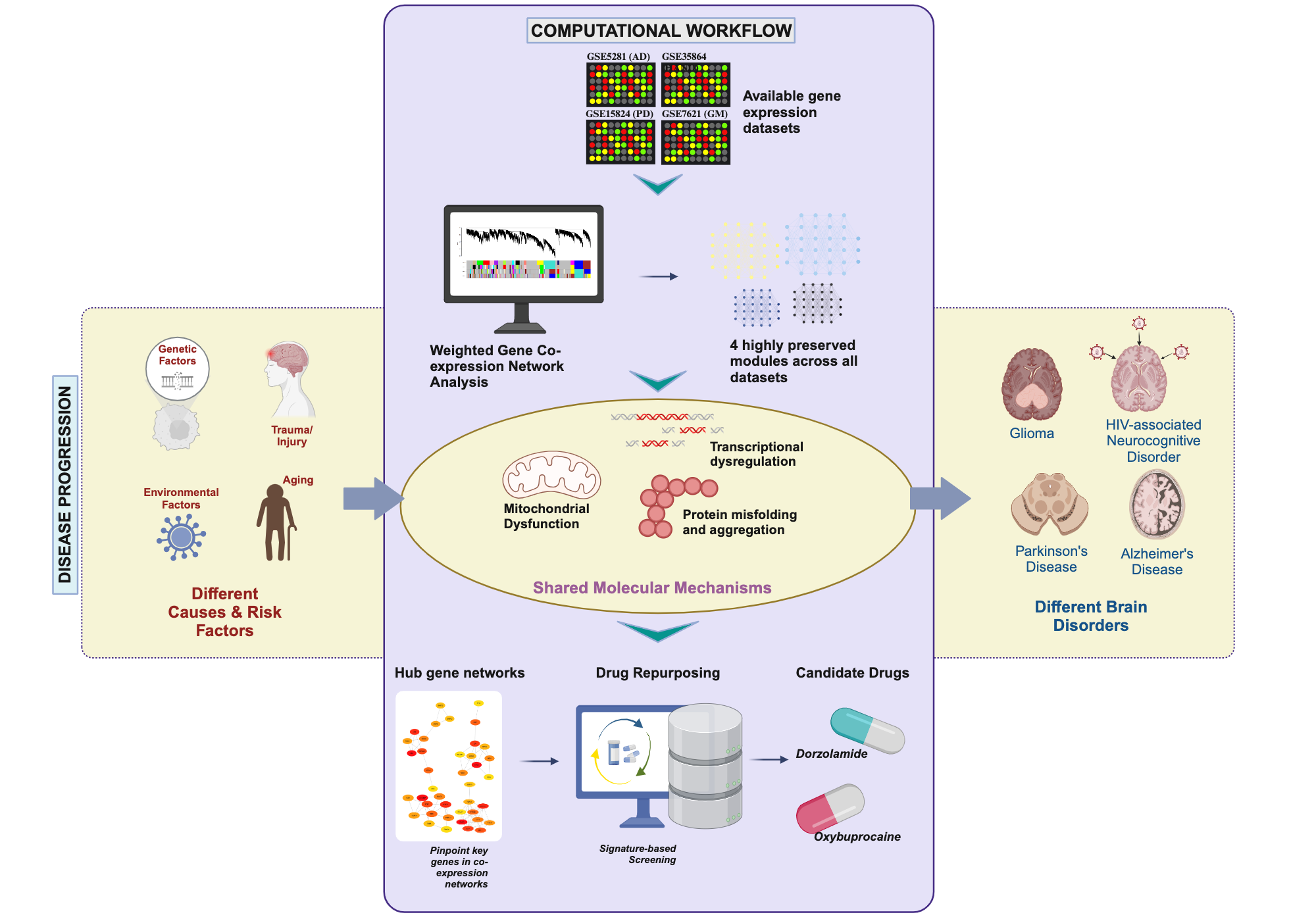 Workflow for Intervening/Studying Disease progressions | BioRender ...