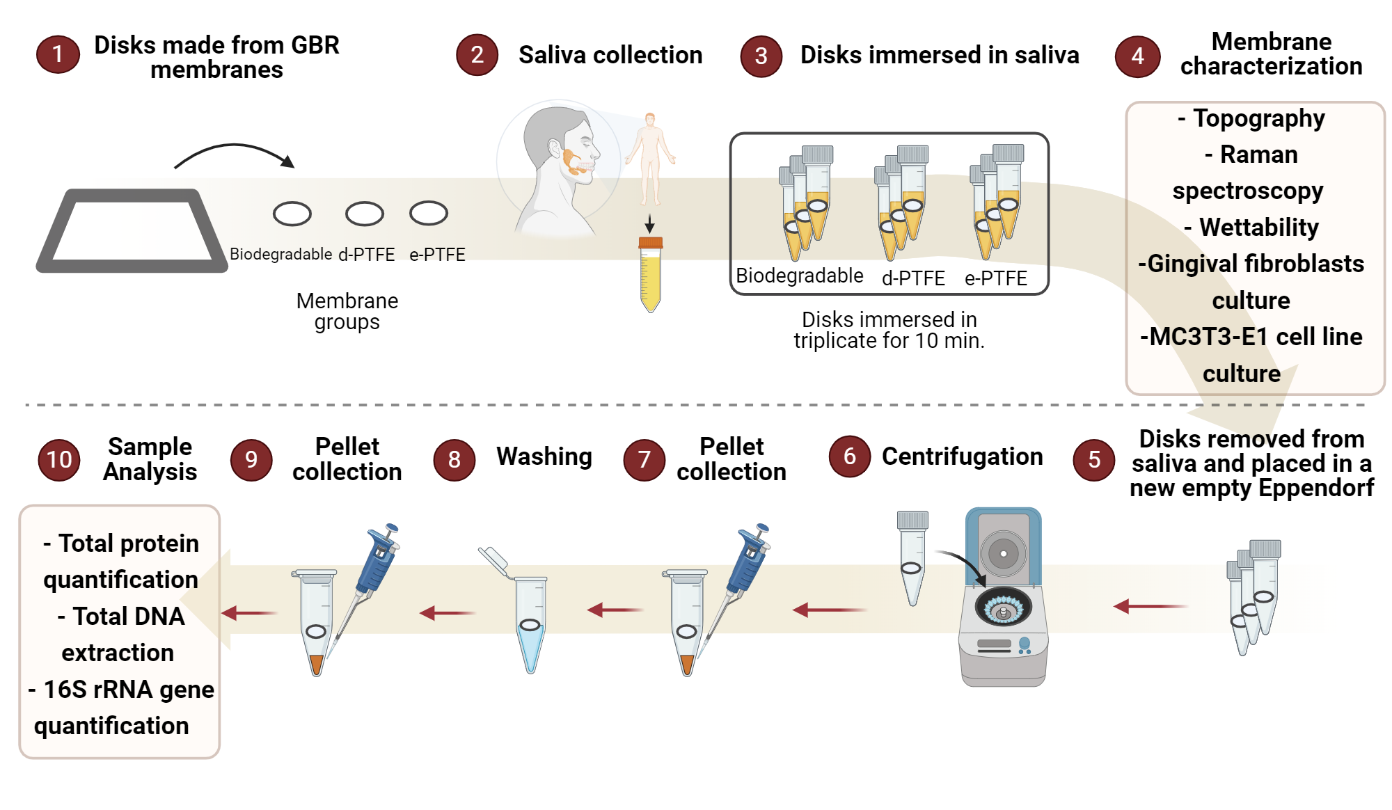 Saliva-contaminated membranes used in guided bone regeneration ...