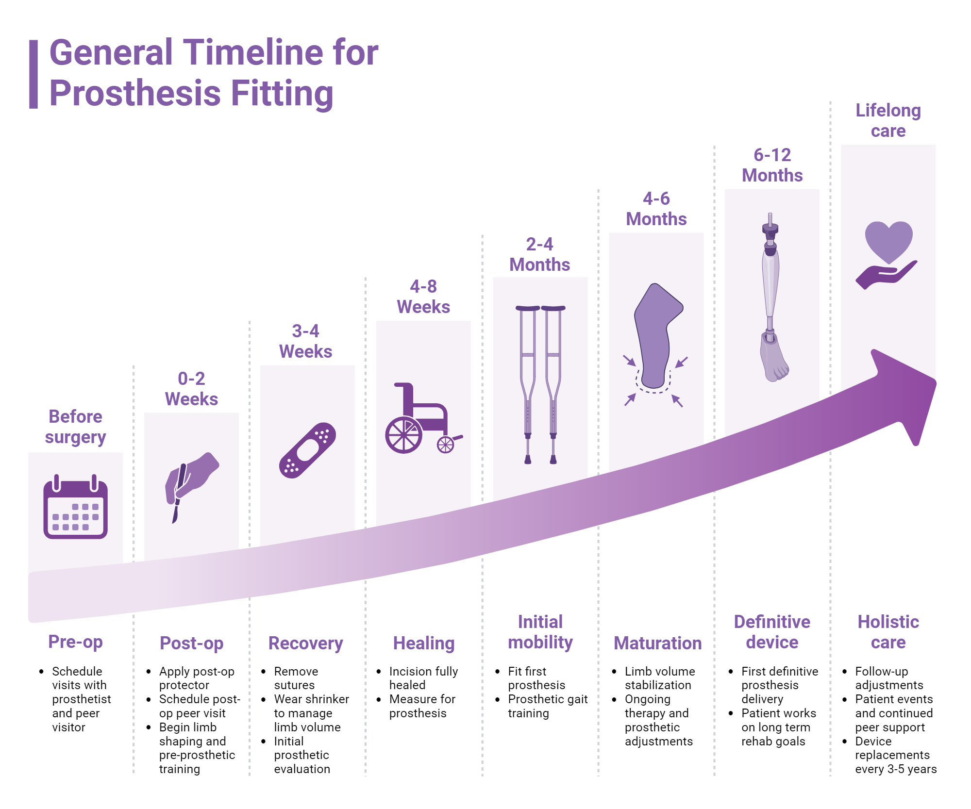 General Timeline for Prosthesis Fitting | BioRender Science Templates