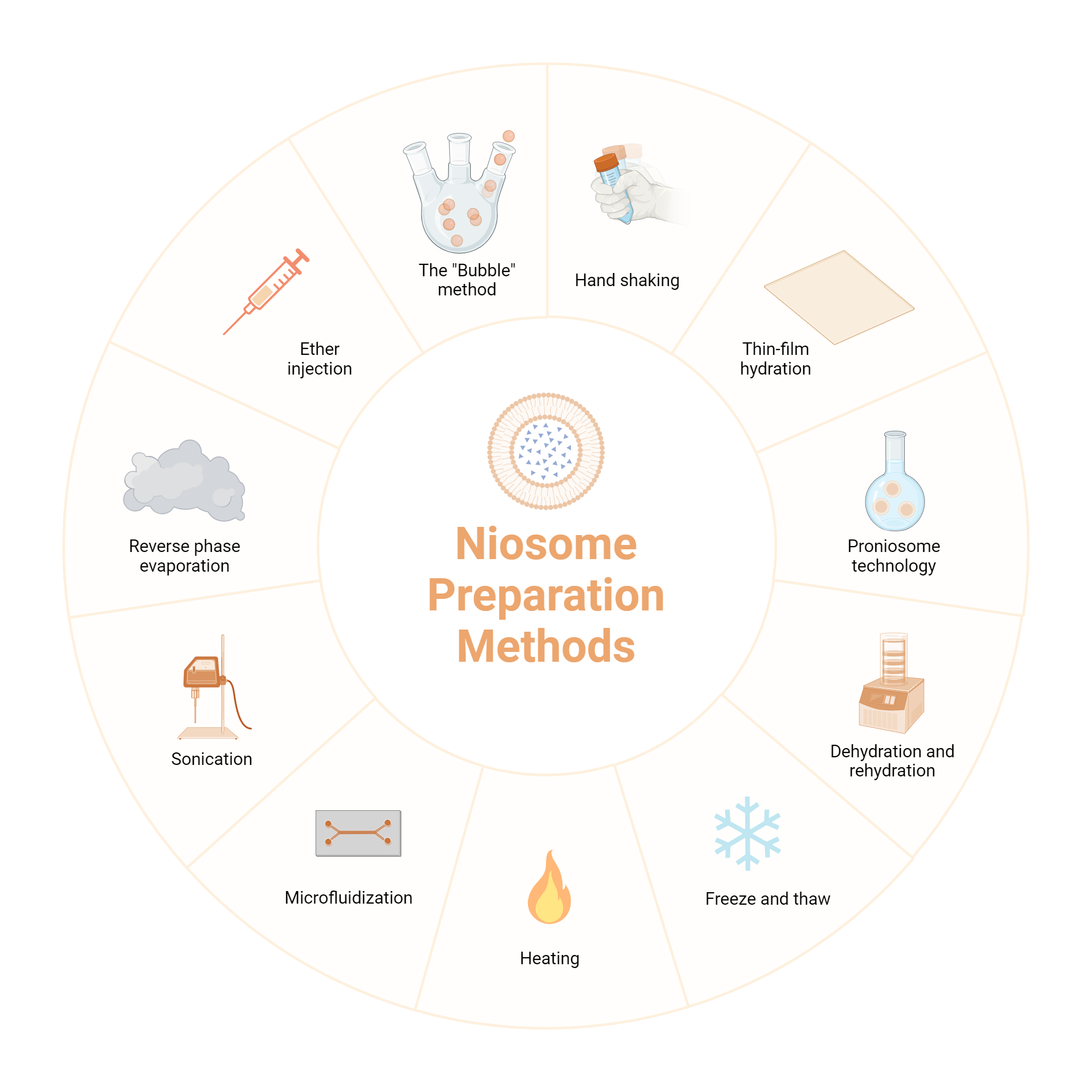 Niosome Preparation Methods | BioRender Science Templates