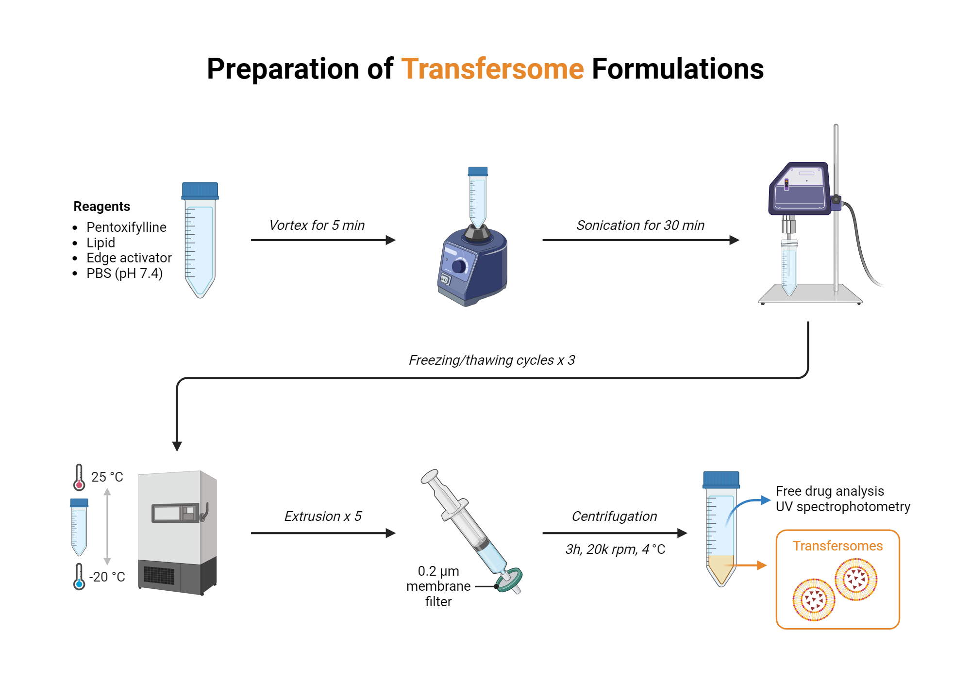 Preparation of Transfersomes Formulations | BioRender Science Templates
