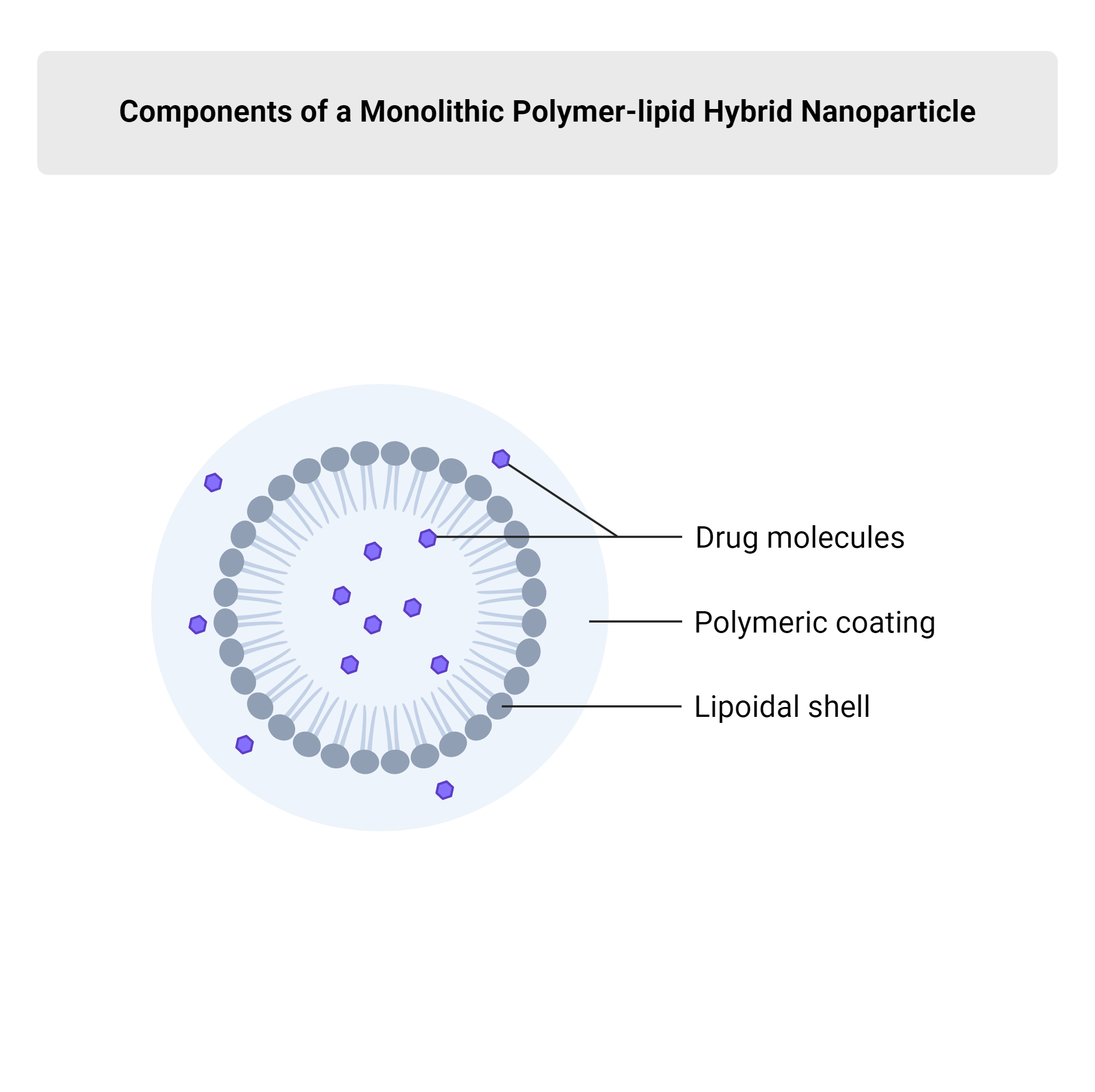 Components of a Monolithic Polymer-lipid Hybrid Nanoparticle ...