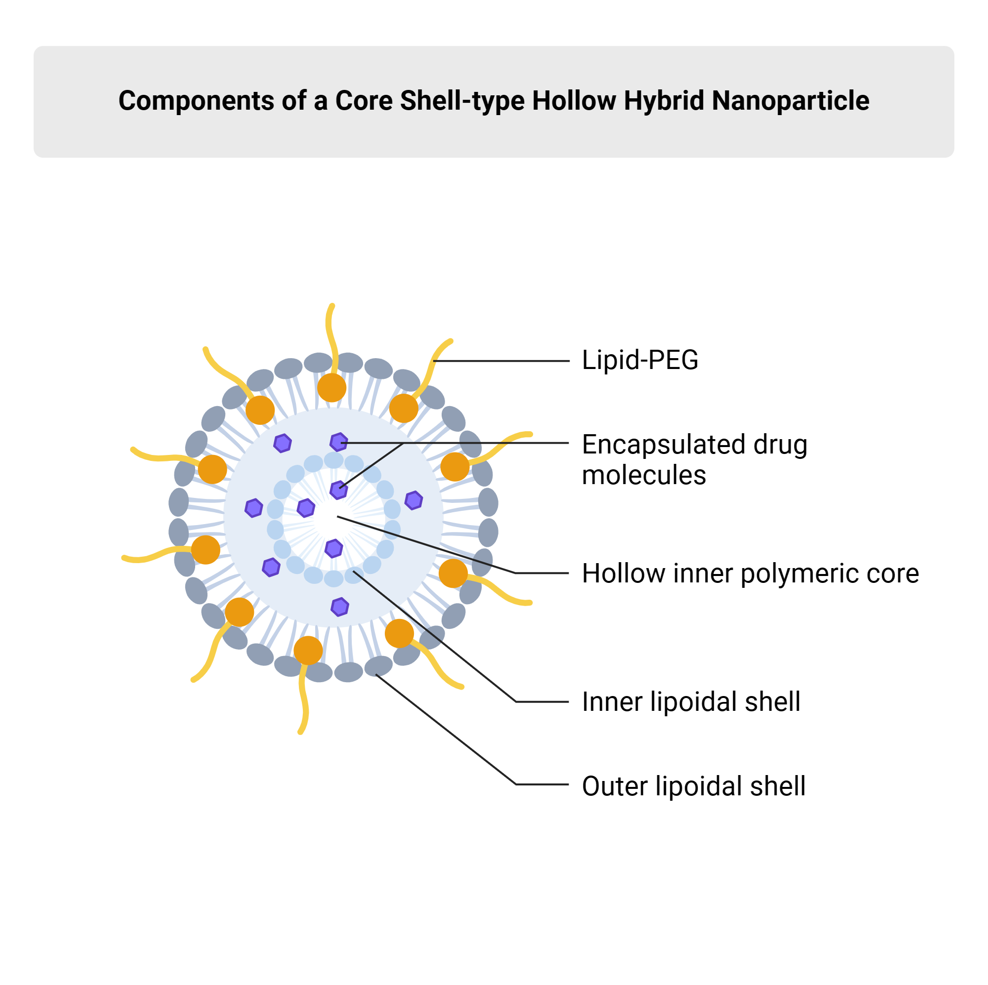 Components of a Core Shell-type Hollow Hybrid Nanoparticle | BioRender ...