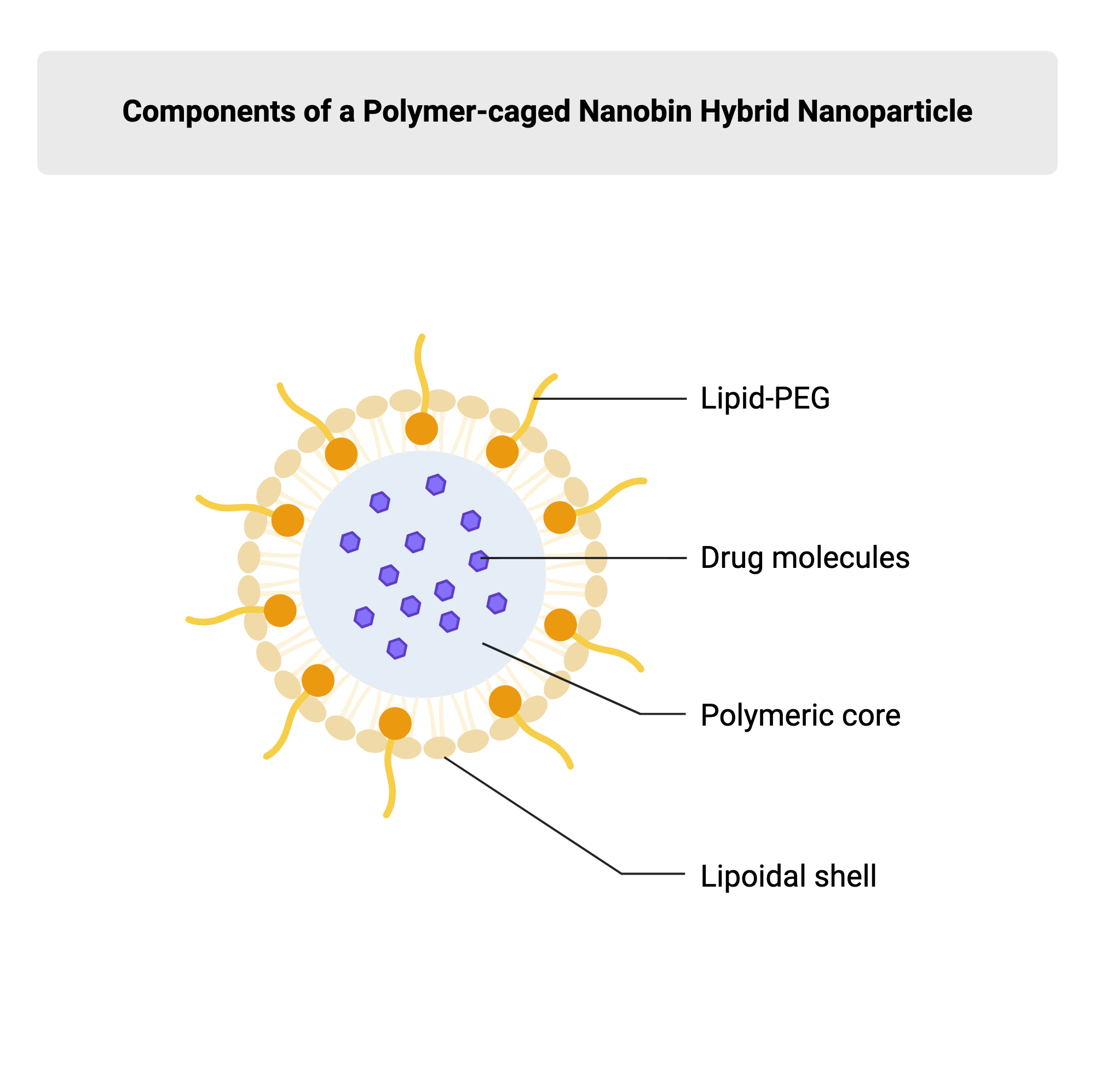 Components of a Polymer-caged Nanobin Hybrid Nanoparticle | BioRender ...