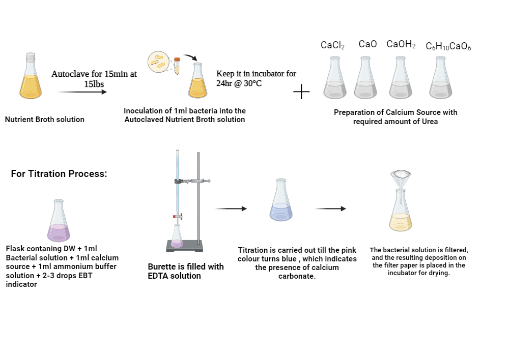 EDTA Test for different calcium sources | BioRender Science Templates