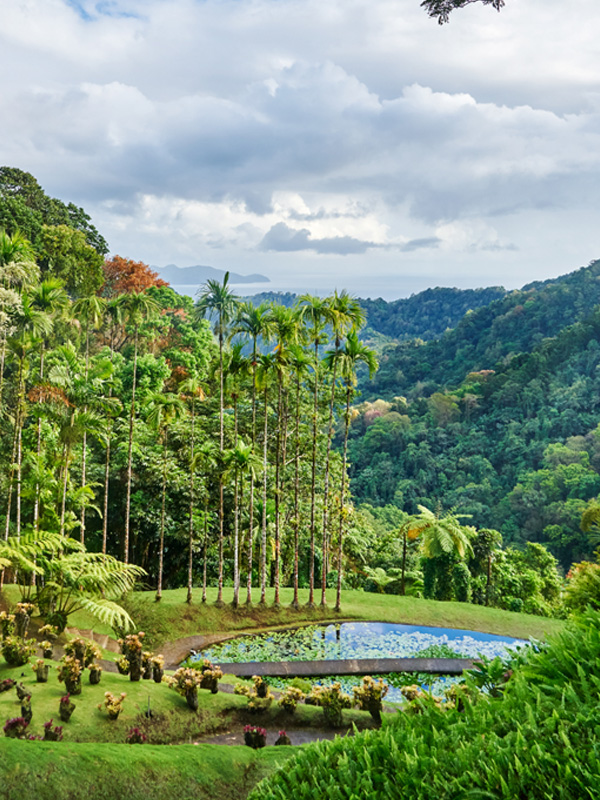 Martinique | Dream of Sun | Air Canada Vacations