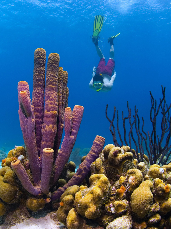 Curaçao | Dream of Sun | Air Canada Vacations
