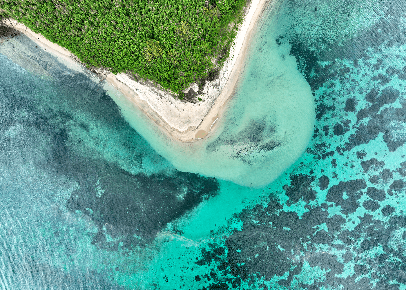 Fiji Cruise Blog | Incredible Facts You May Not Know About Fiji