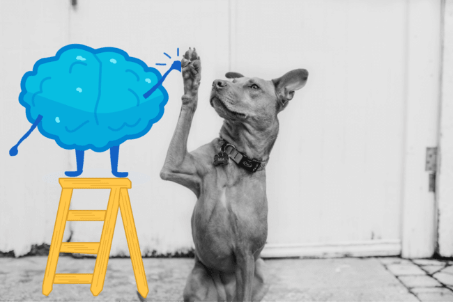 10 Team Building Activities For Teachers [Tried & Tested]