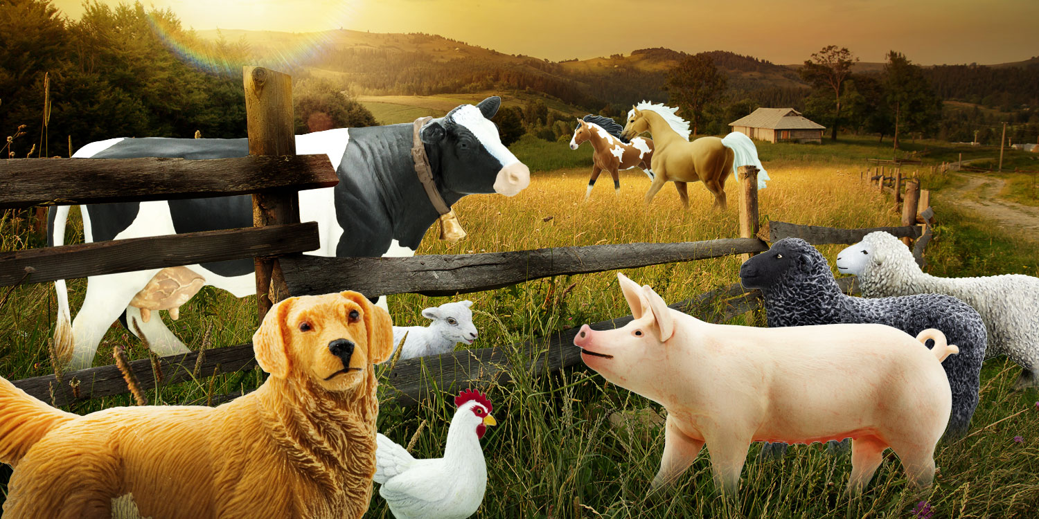 Domestic Animals - Safari Ltd® | Browse the SafariPedia