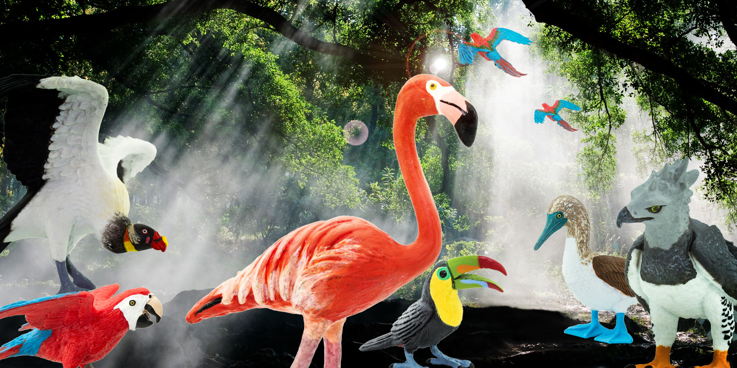 Birds - Safari Ltd® | Browse the SafariPedia