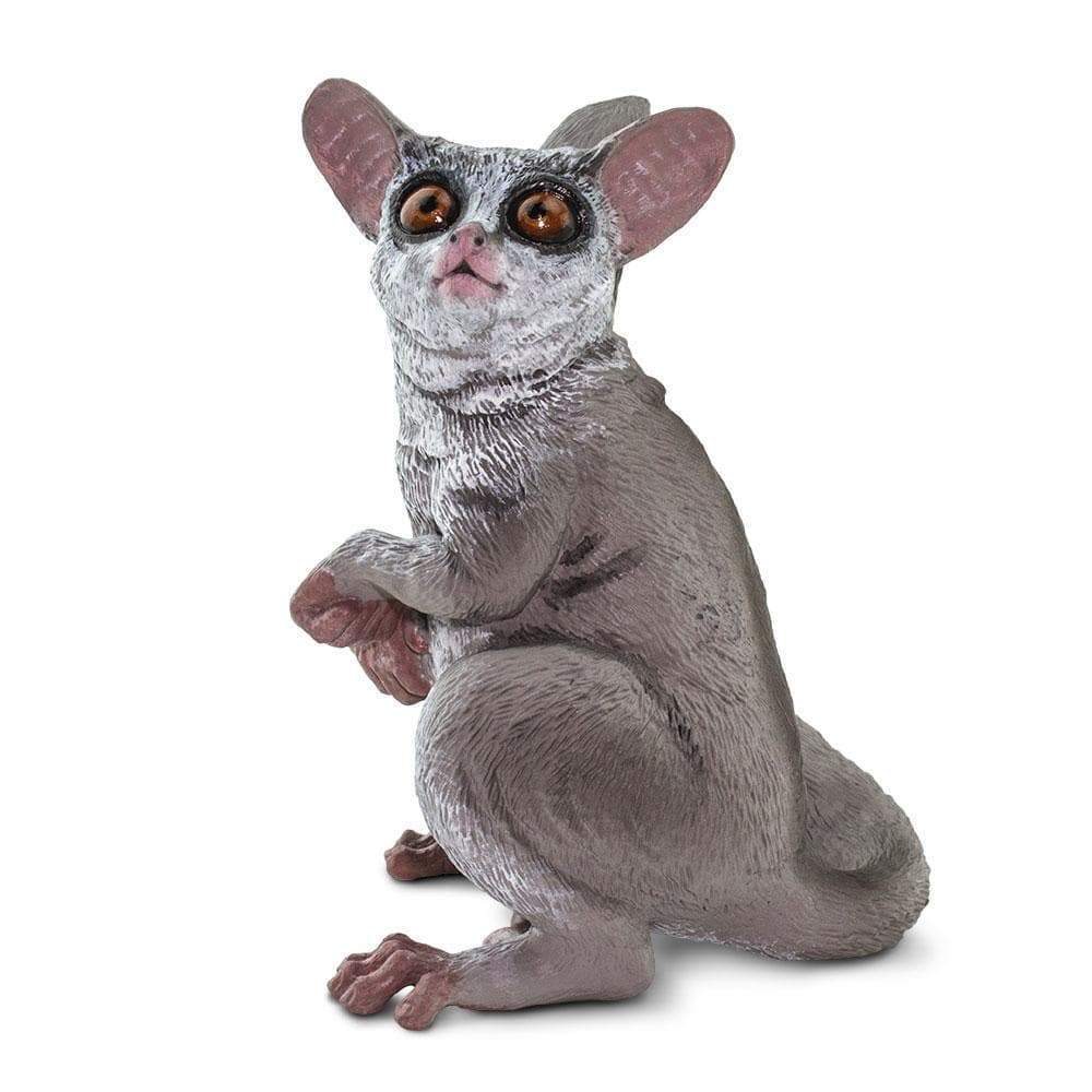 Bush Baby - Safari Ltd® | Browse the SafariPedia