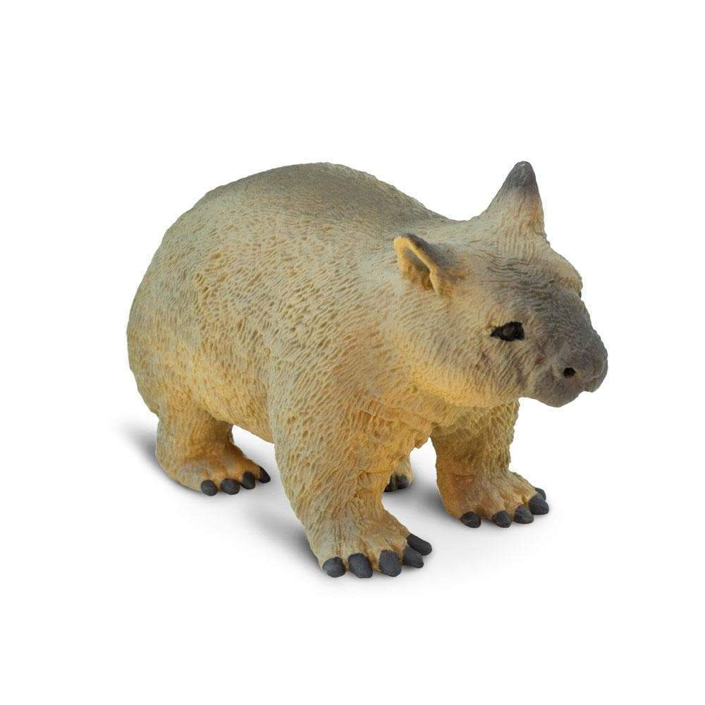 Wombat - Safari Ltd® | Browse the SafariPedia