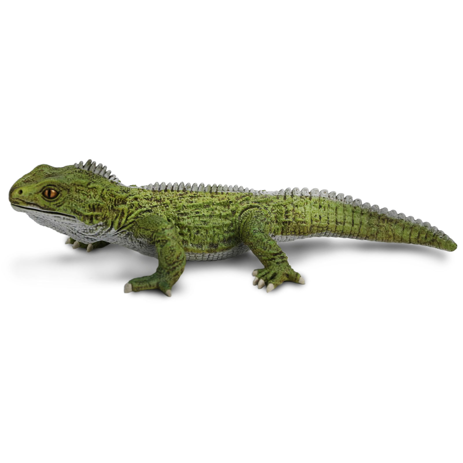 Tuatara - Safari Ltd® | Browse the SafariPedia