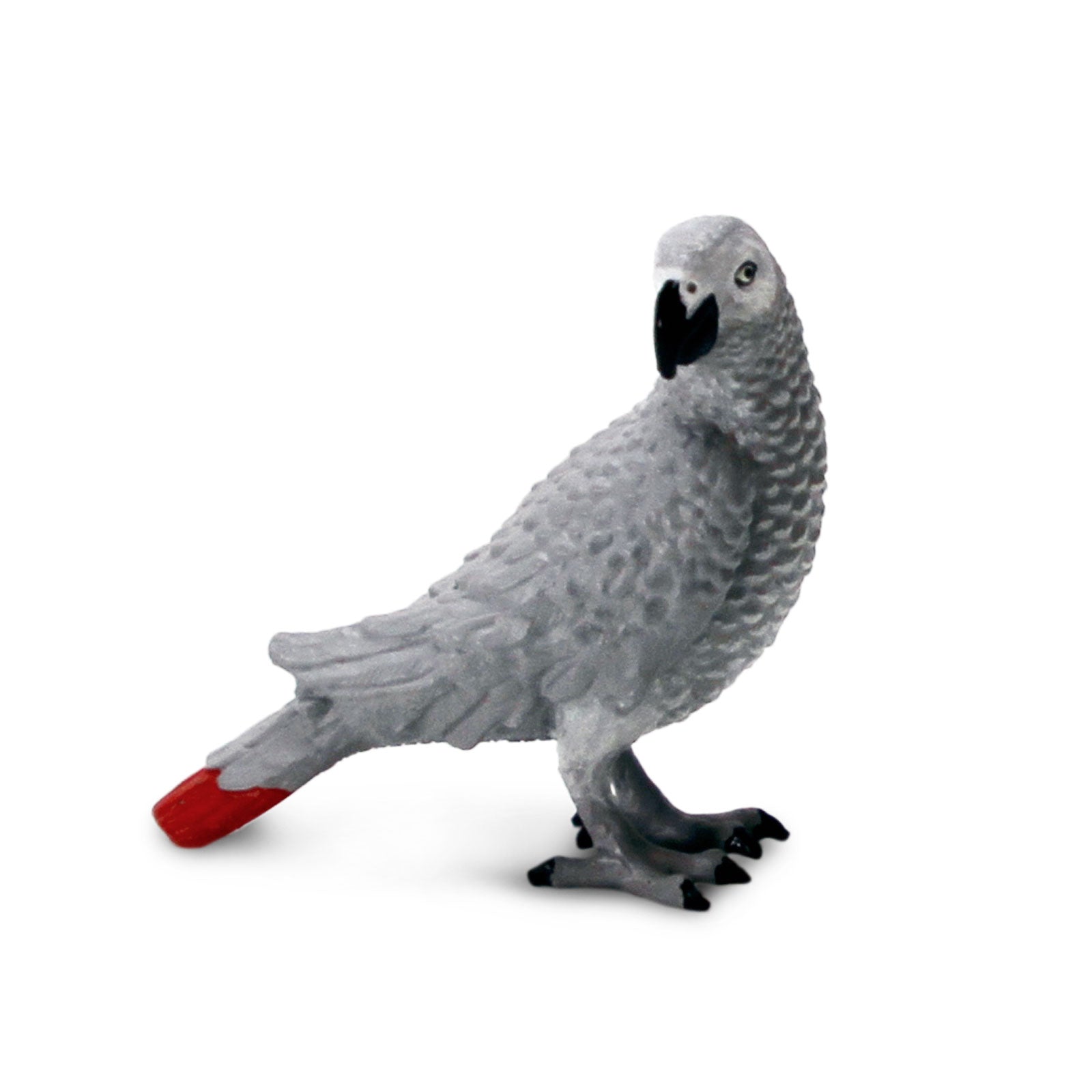 African Grey Parrot - Safari Ltd® | Browse the SafariPedia
