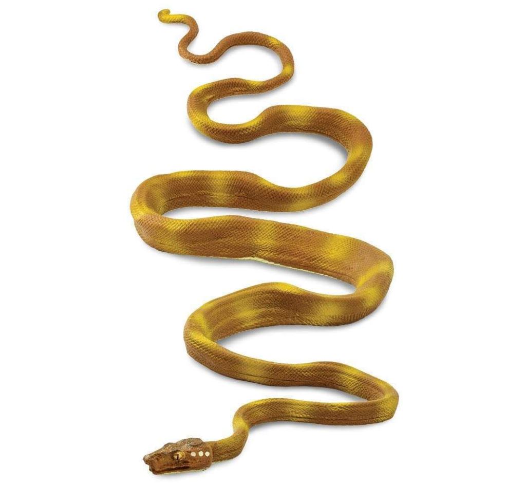 Amazon Tree Boa - Safari Ltd® | Browse the SafariPedia