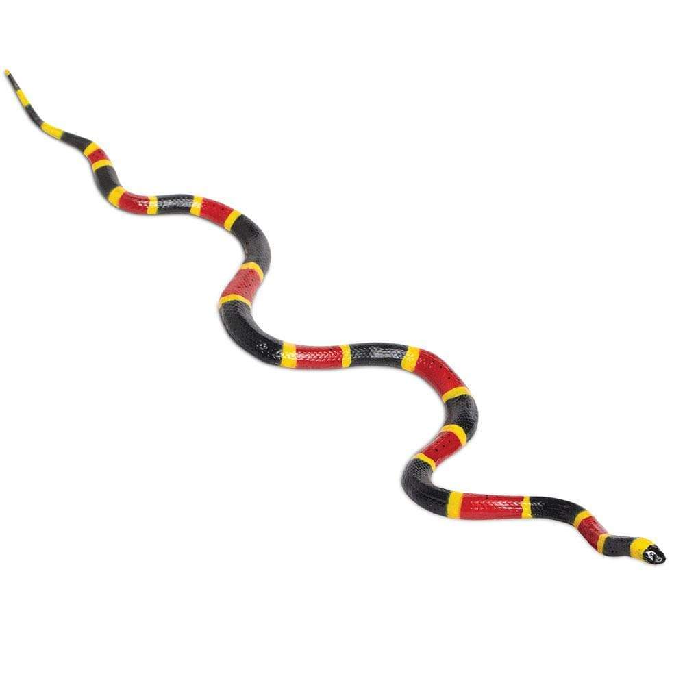 Coral Snake - Safari Ltd® | Browse the SafariPedia