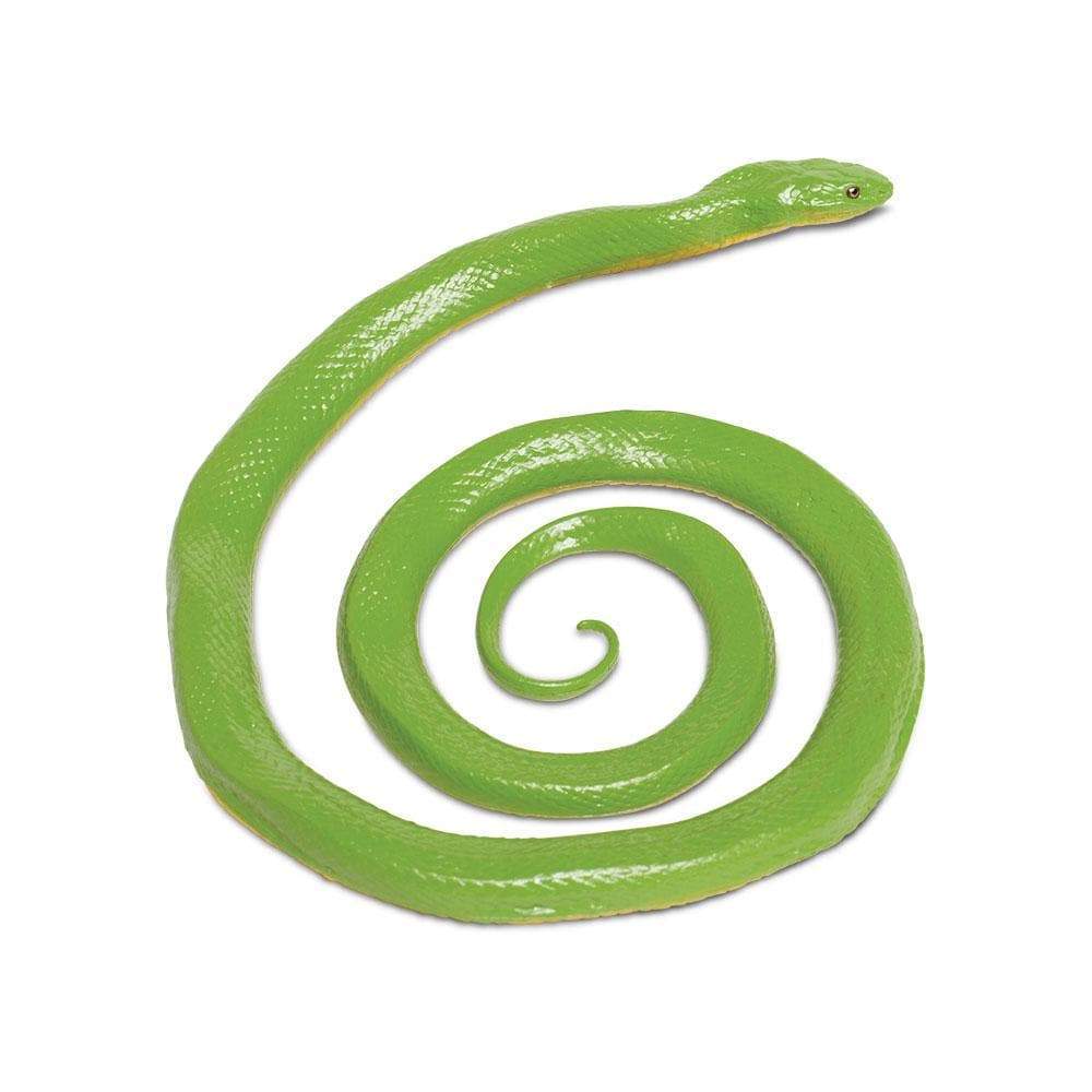 Rough Green Snake - Safari Ltd® | Browse the SafariPedia