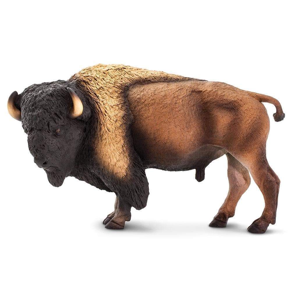 Bison - Safari Ltd® | Browse the SafariPedia