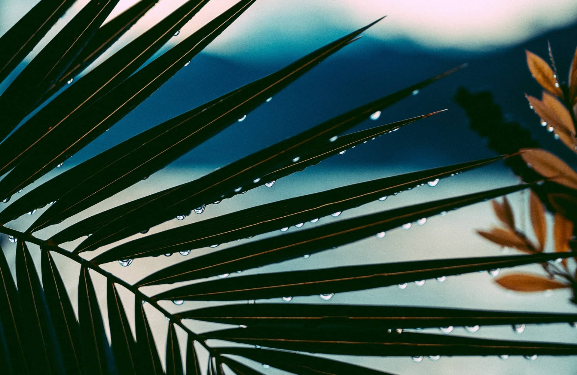 Kōloa Village a live-work-play community - Kauaʻi, Hawaiʻi