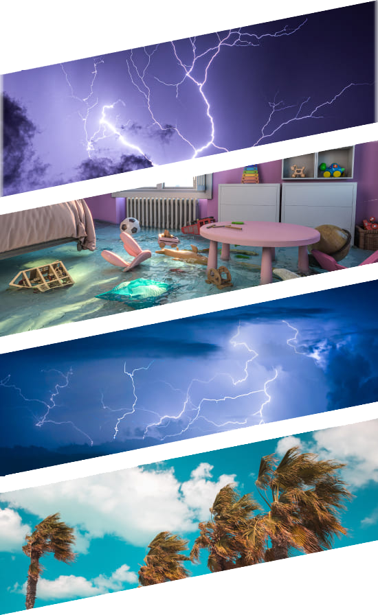 Gainesville's Damage Restoration Company | Sunshine Restoration