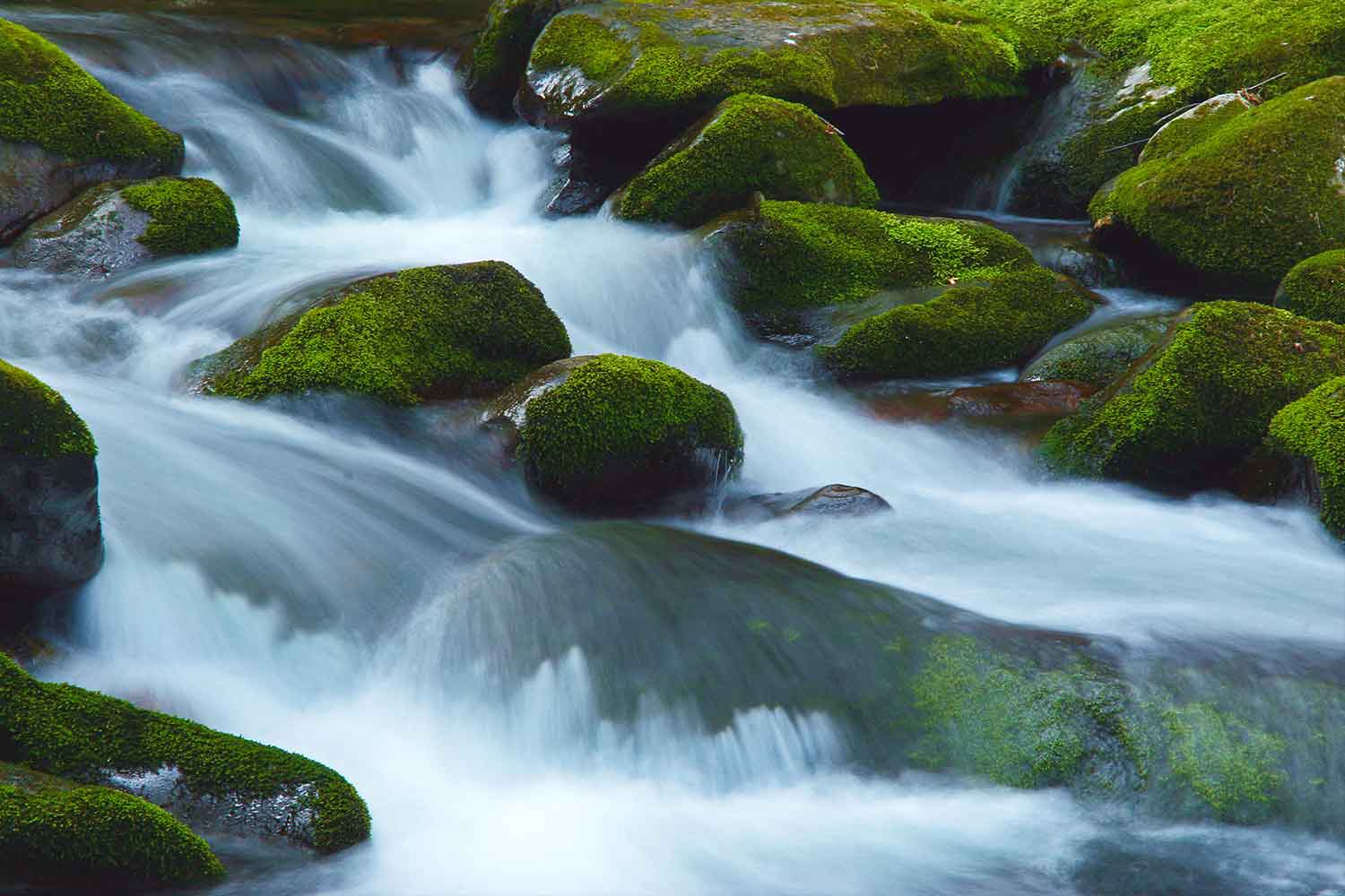 A World of Wonder: 4 Scenic Drives in the Smokies