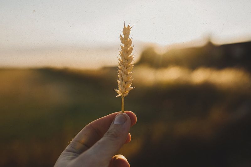 Marketing Company Oklahoma City - Advertising Agency OKC | Beyond Theory