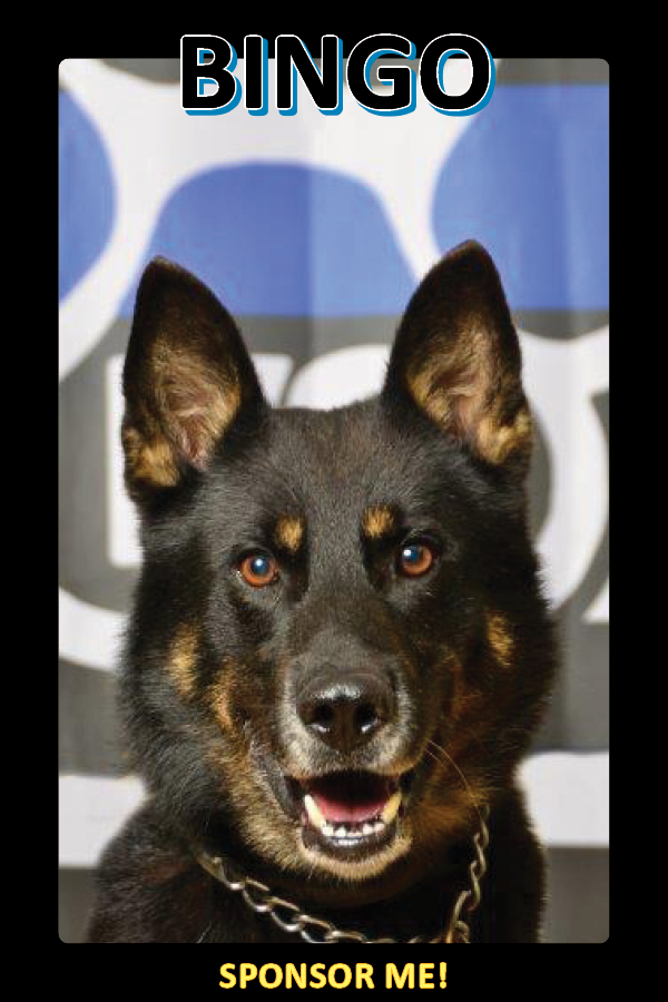 Houston Police Foundation