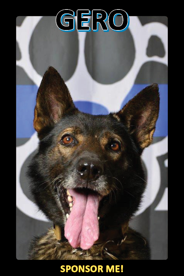 Houston Police Foundation