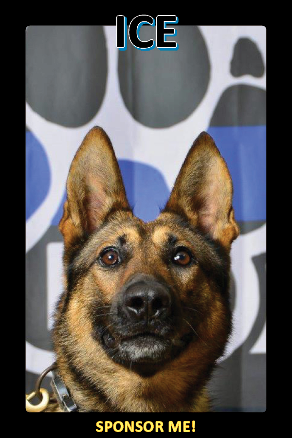 Houston Police Foundation