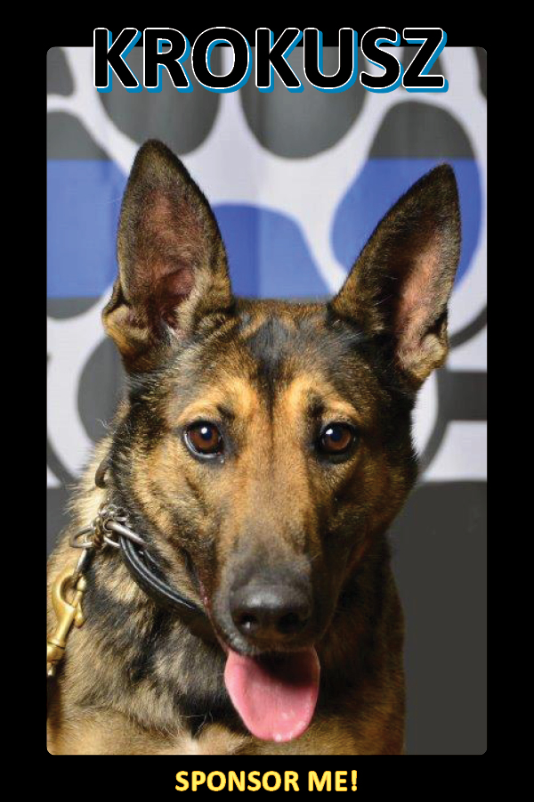 Houston Police Foundation