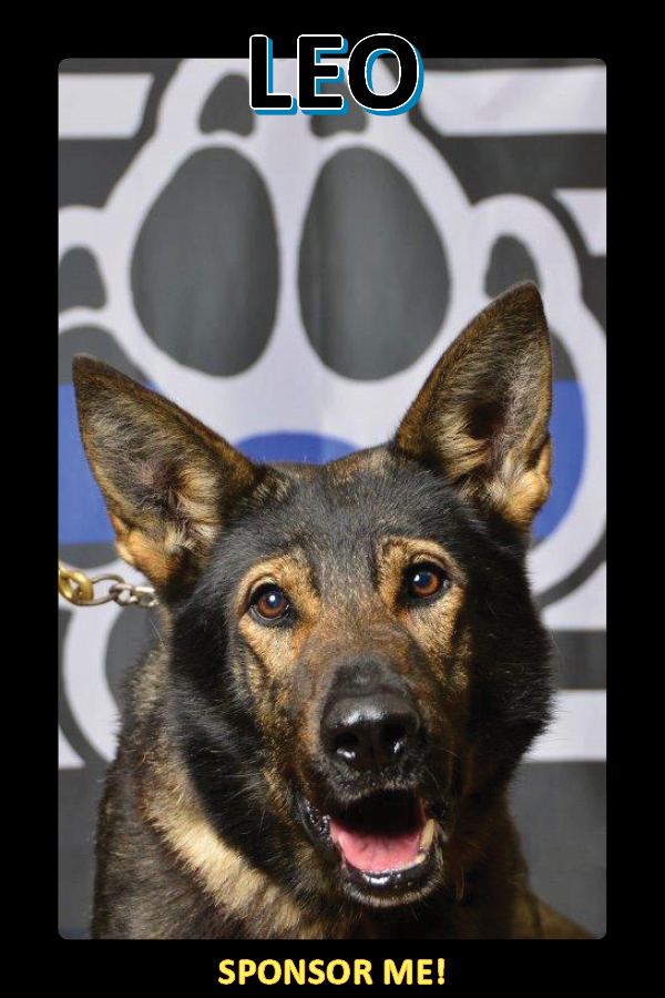 Houston Police Foundation